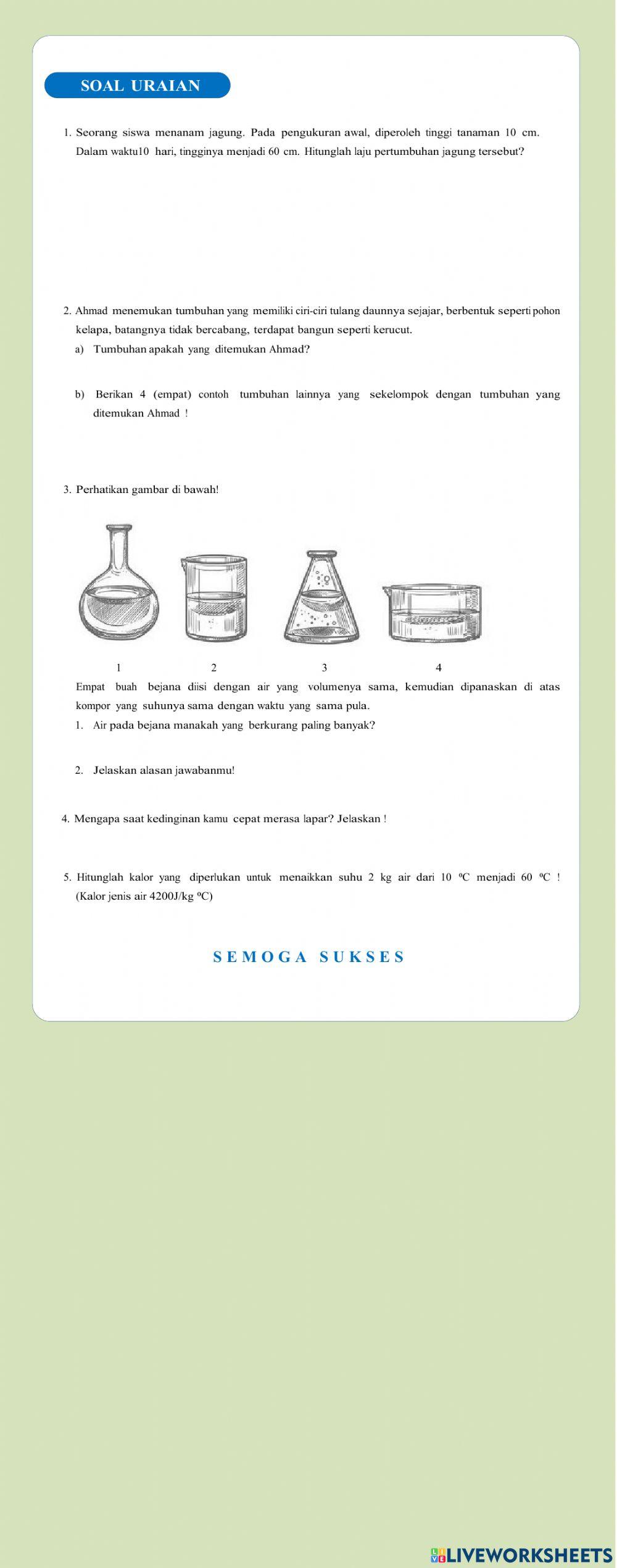 Osn ipa 2324308 | Hadi Santoso Wijaya | Live Worksheets