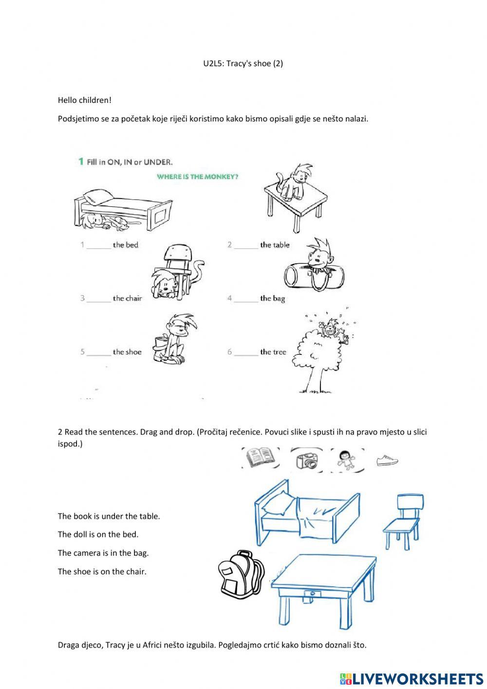 Tracy's shoe 2 worksheet | Live Worksheets