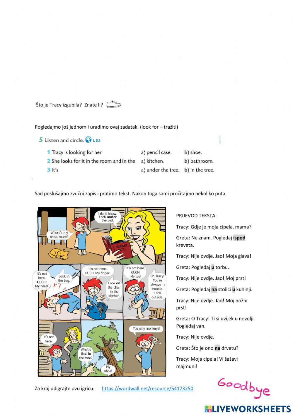 2325044 | Tracy's shoe 2 | Vesna Lukenda Niksic