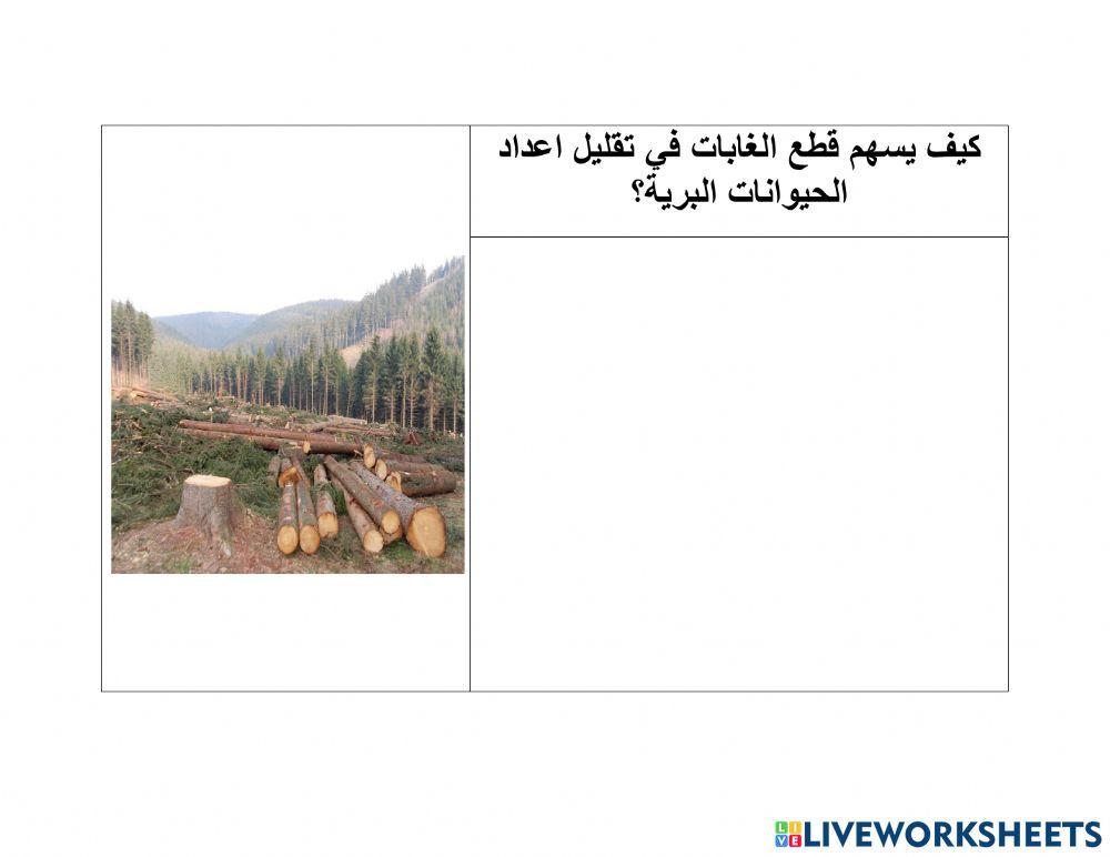 first worksheet online exercise for | Live Worksheets