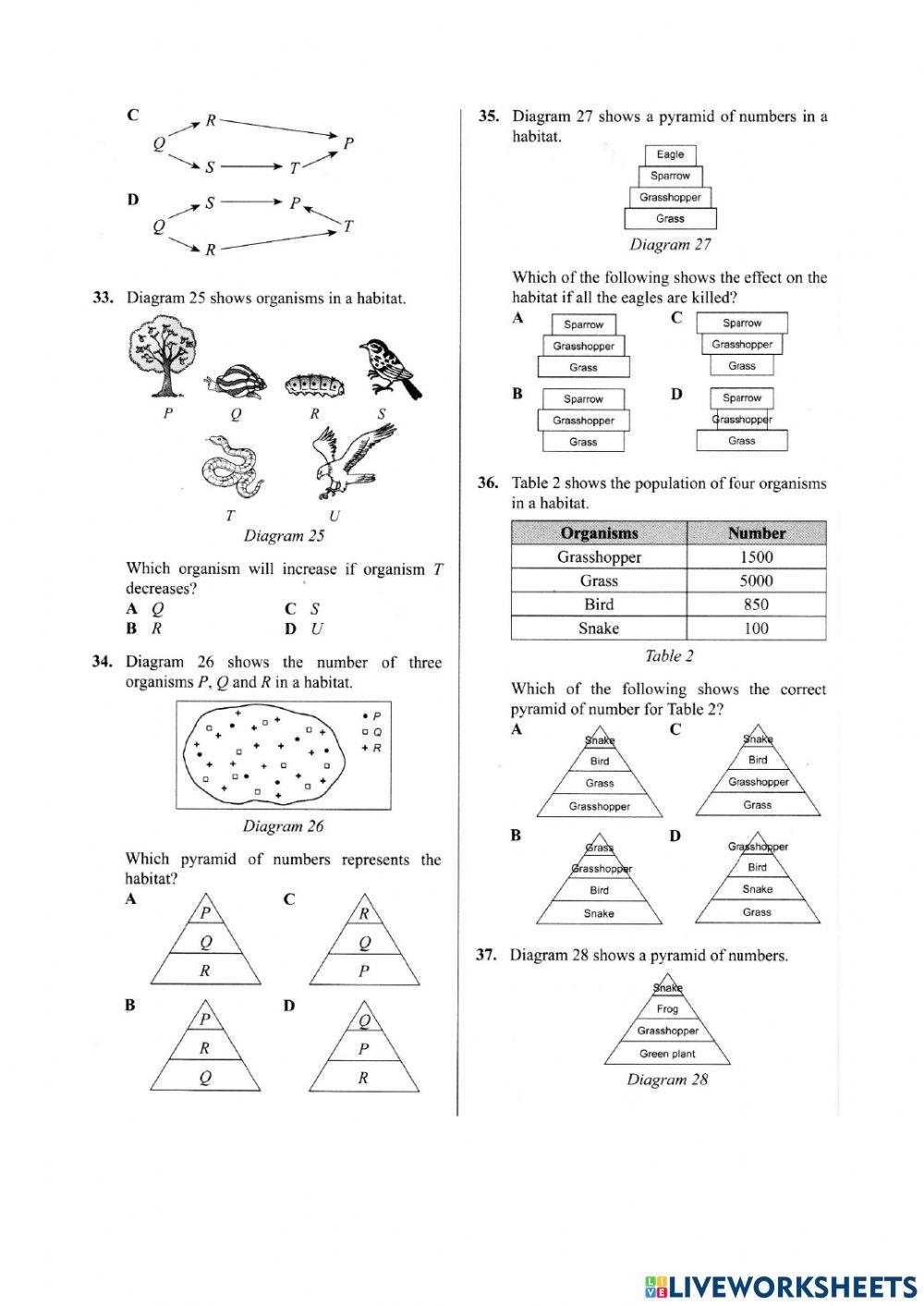 F2 Science Chap… | Free Interactive Worksheets | 5384185