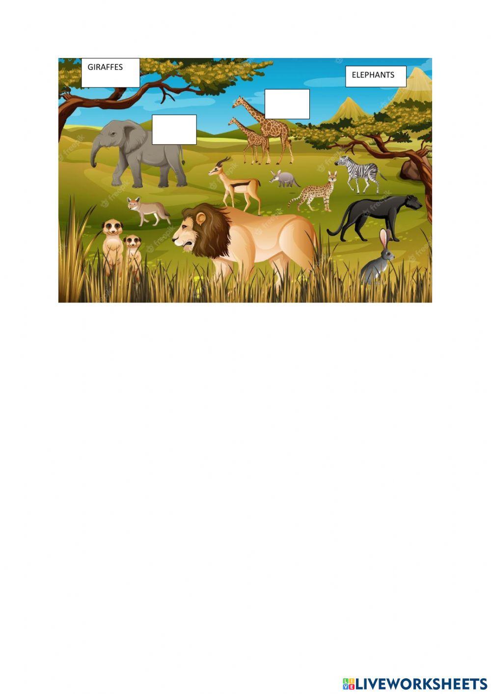 Drag assignment worksheet | Live Worksheets