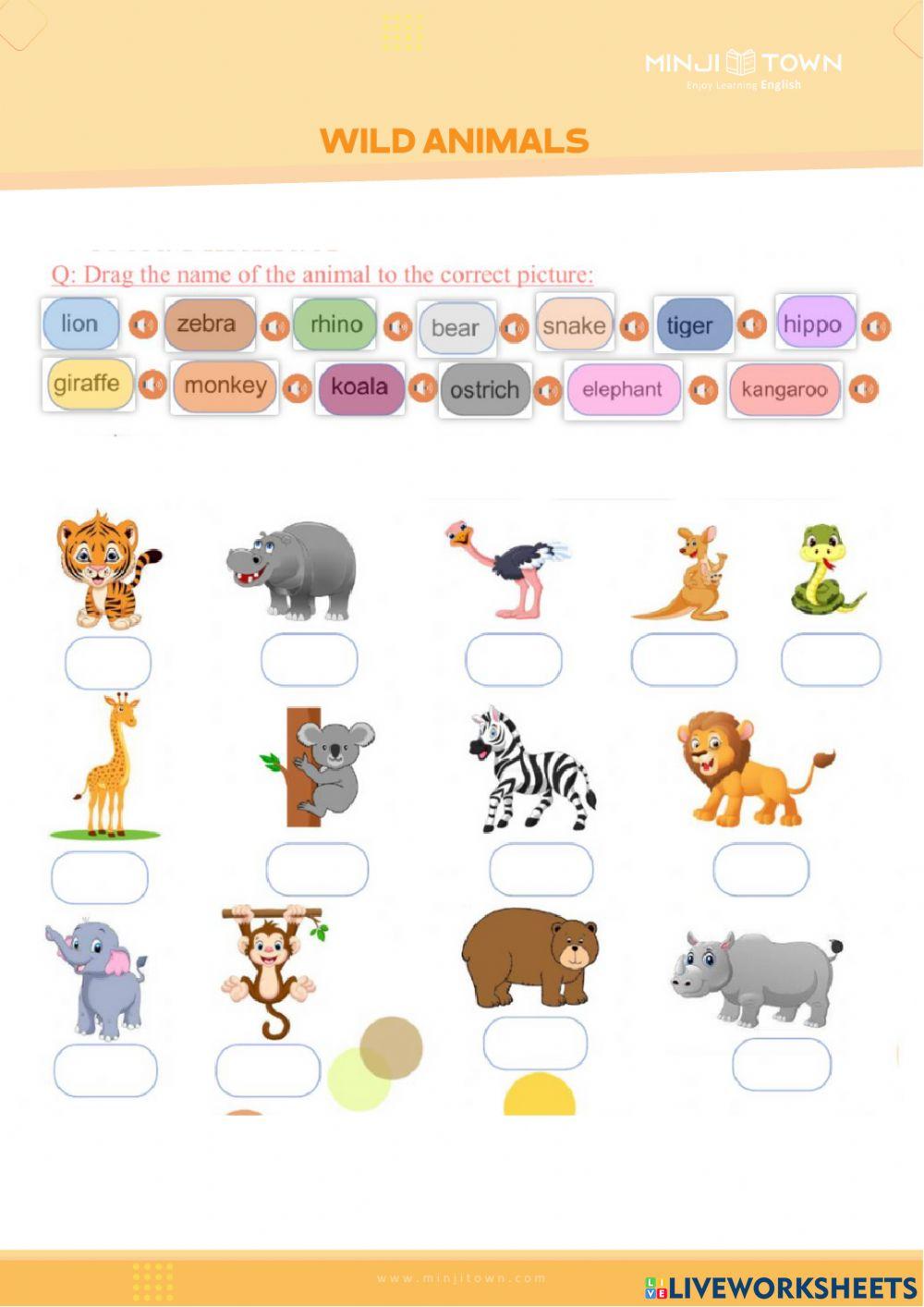 2328831 | Wild animals | jessimur | LiveWorksheets