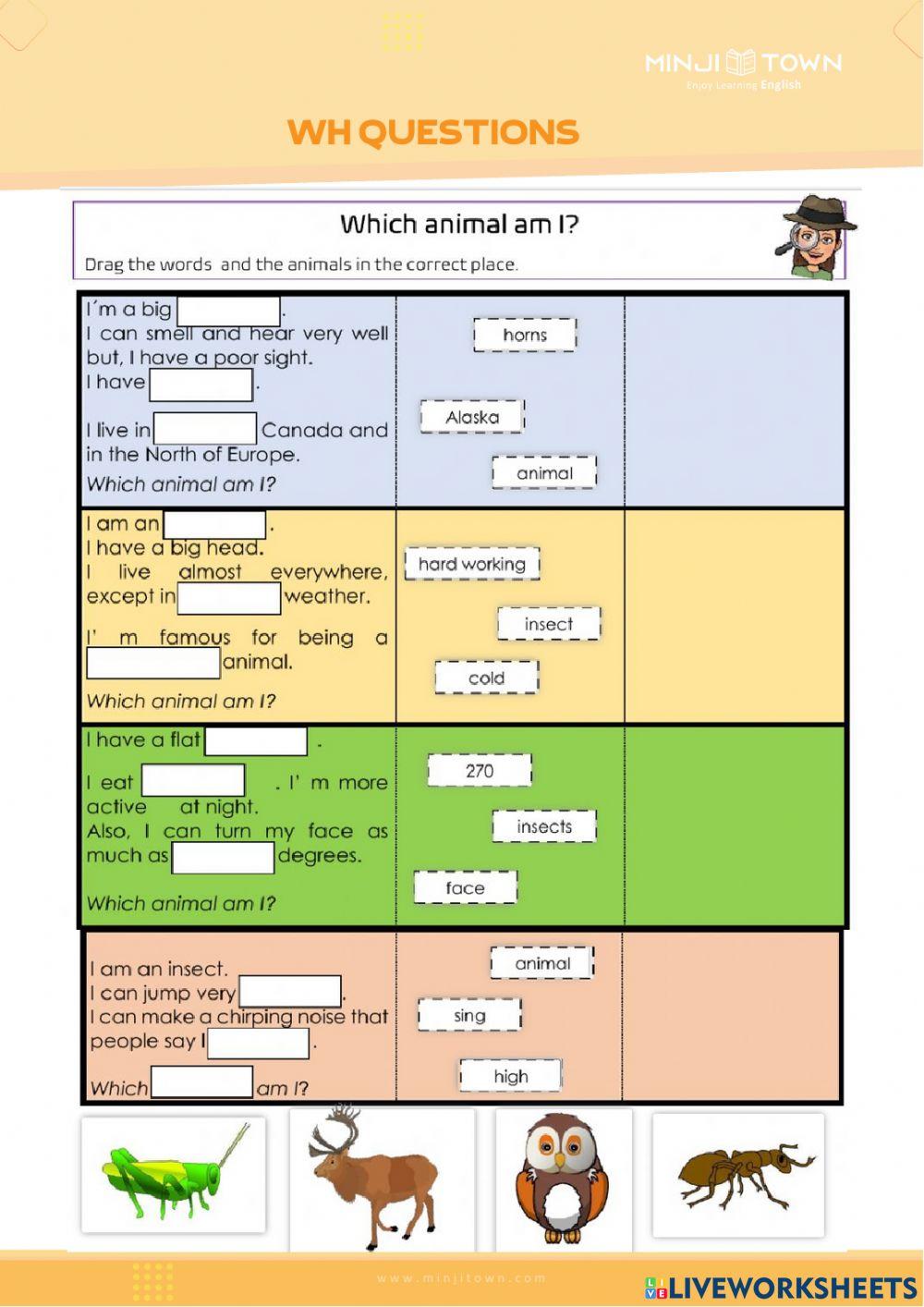 Wh questions online exercise for SECOND | Live Worksheets