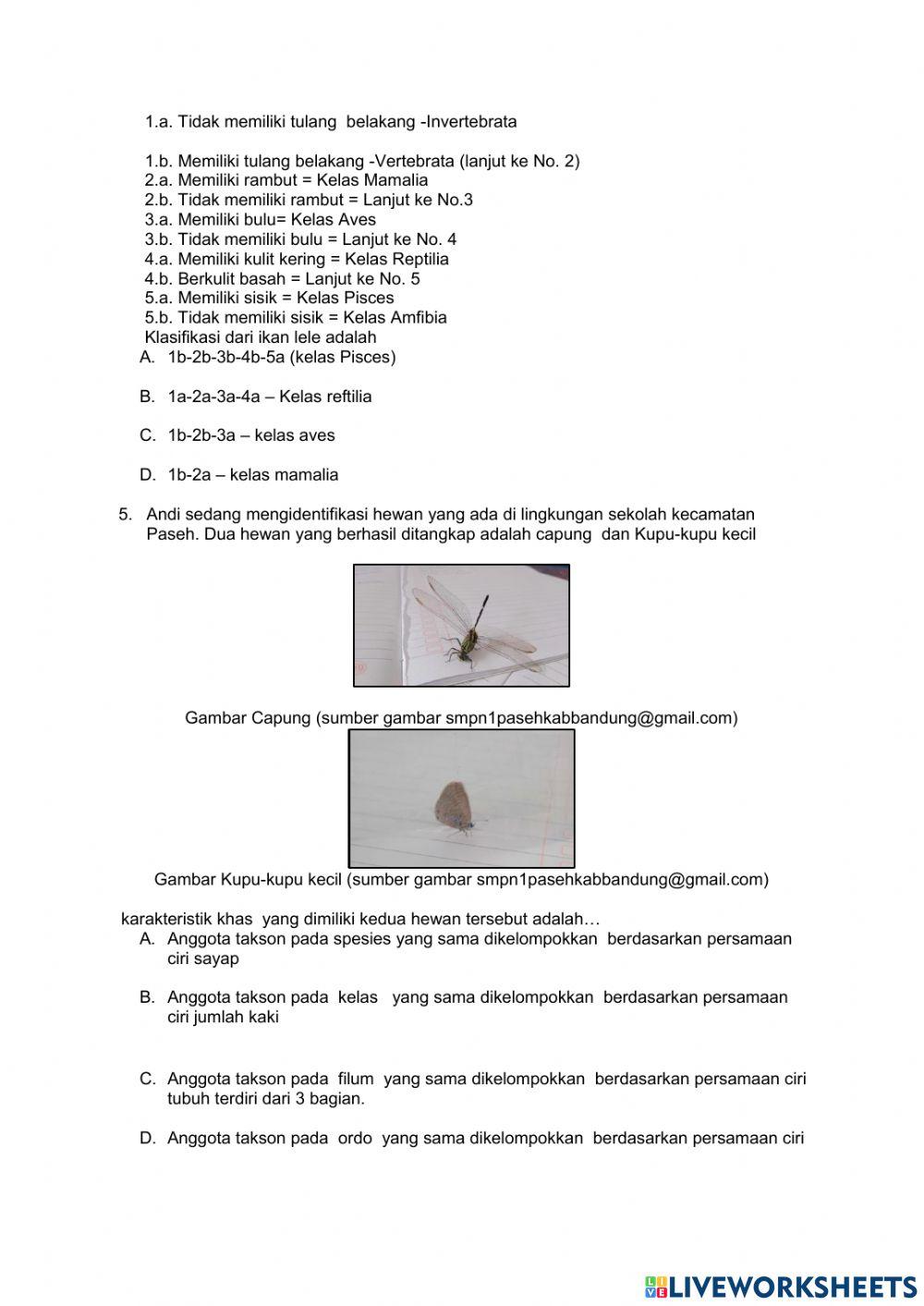 Psat genap worksheet | Live Worksheets