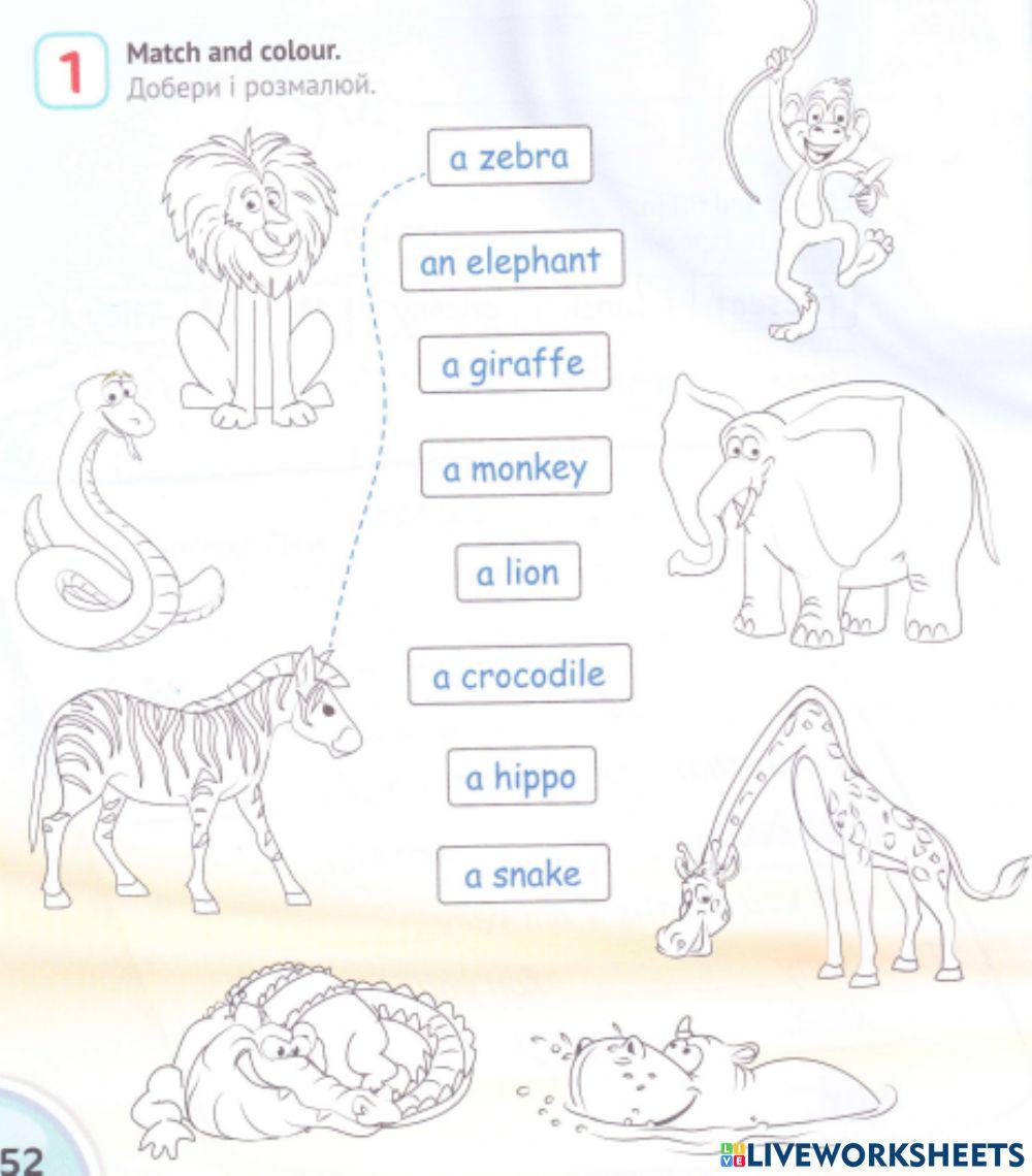 How many legs. Unit 1 | EvgeniaPidchenko29 | Live