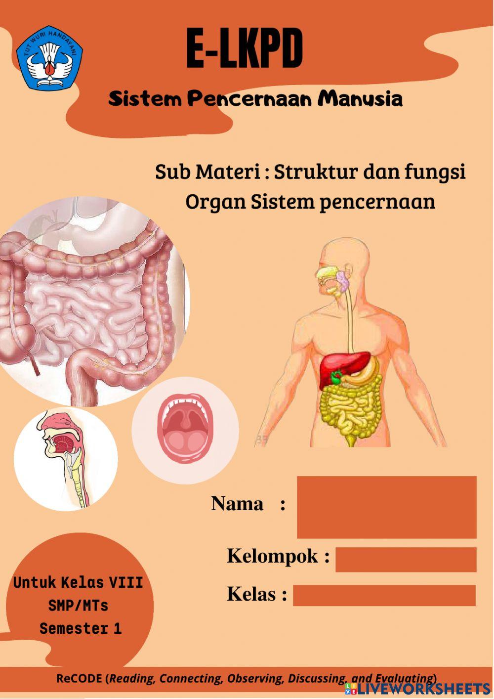 ReCODE LKPD 2 S… | Free Interactive Worksheets | 2897260