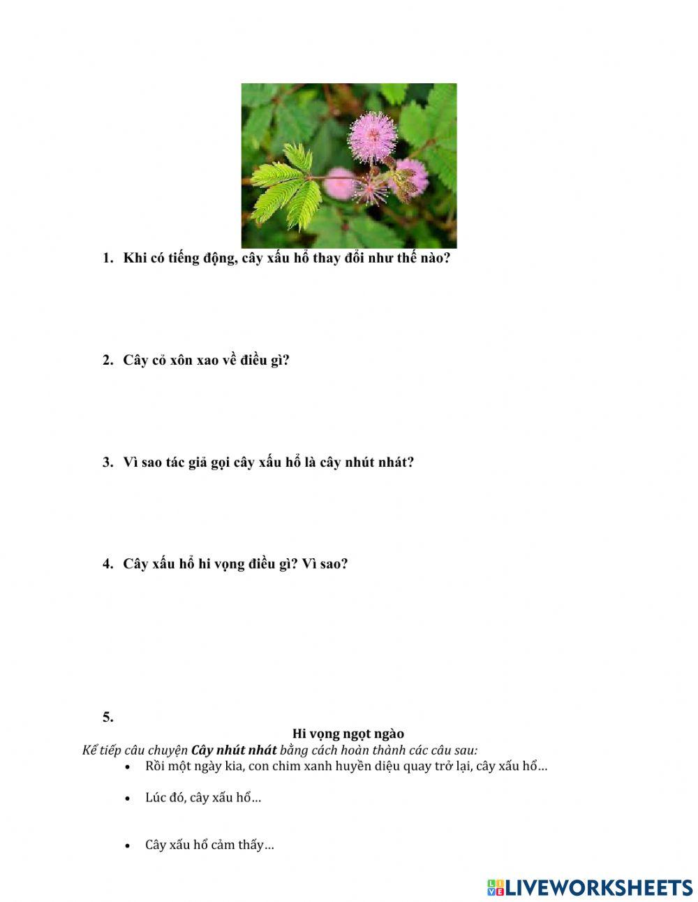 Vietnamese interactive exercise for 2 | Live Worksheets