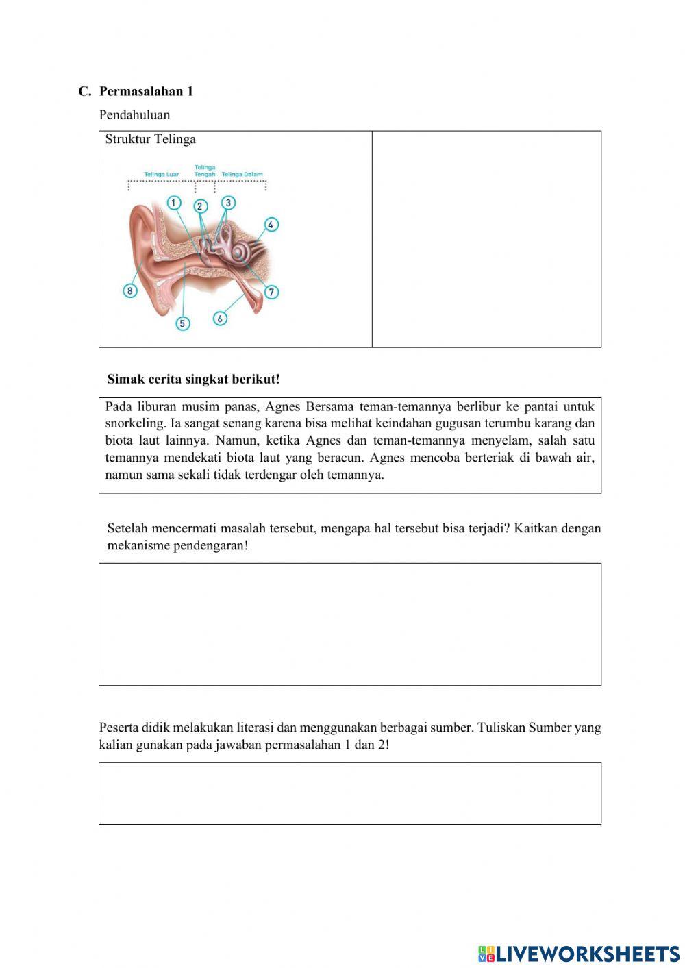 Biologi activity for 11 | Live Worksheets