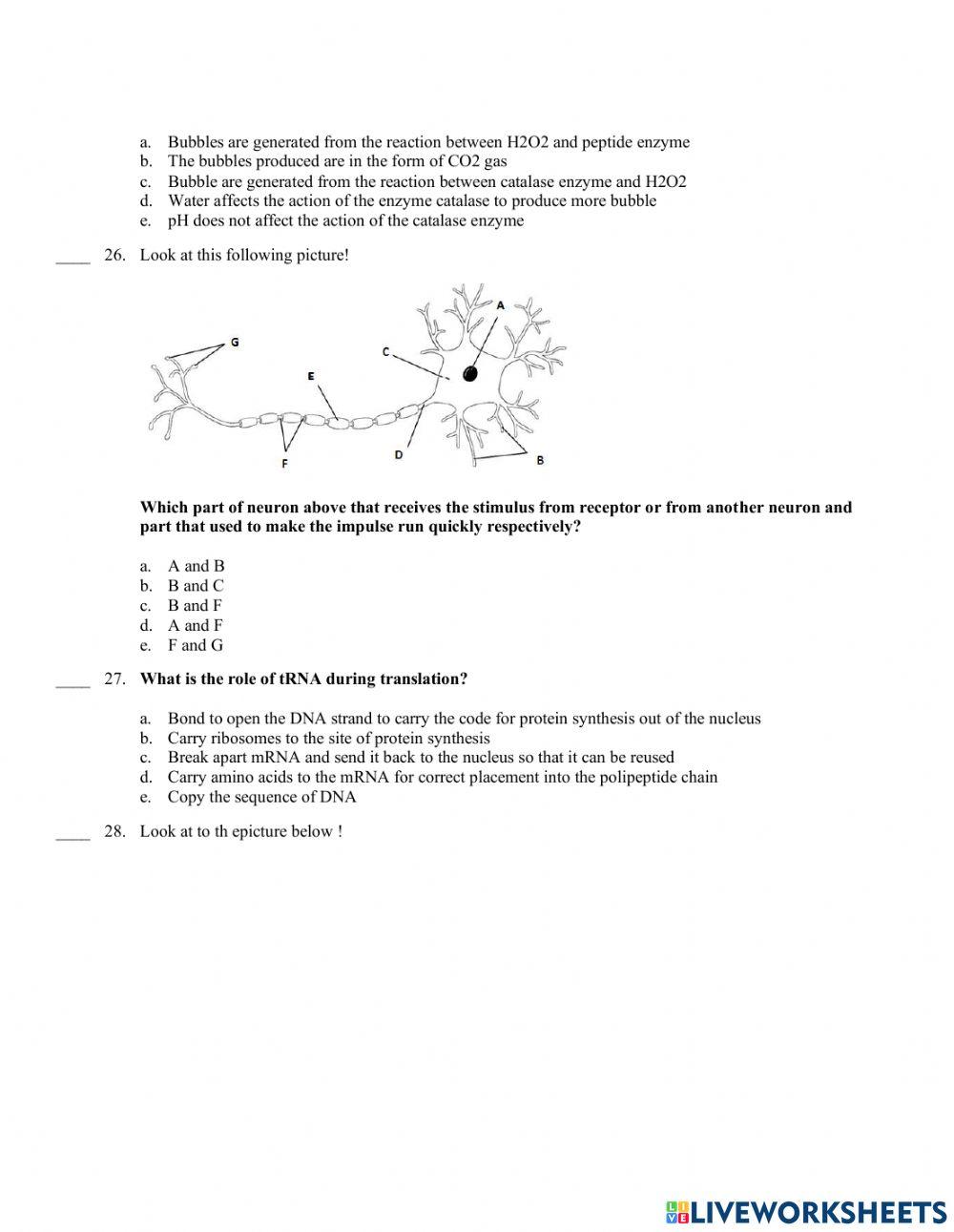TO US BIOLOGY 2 online exercise for | Live Worksheets