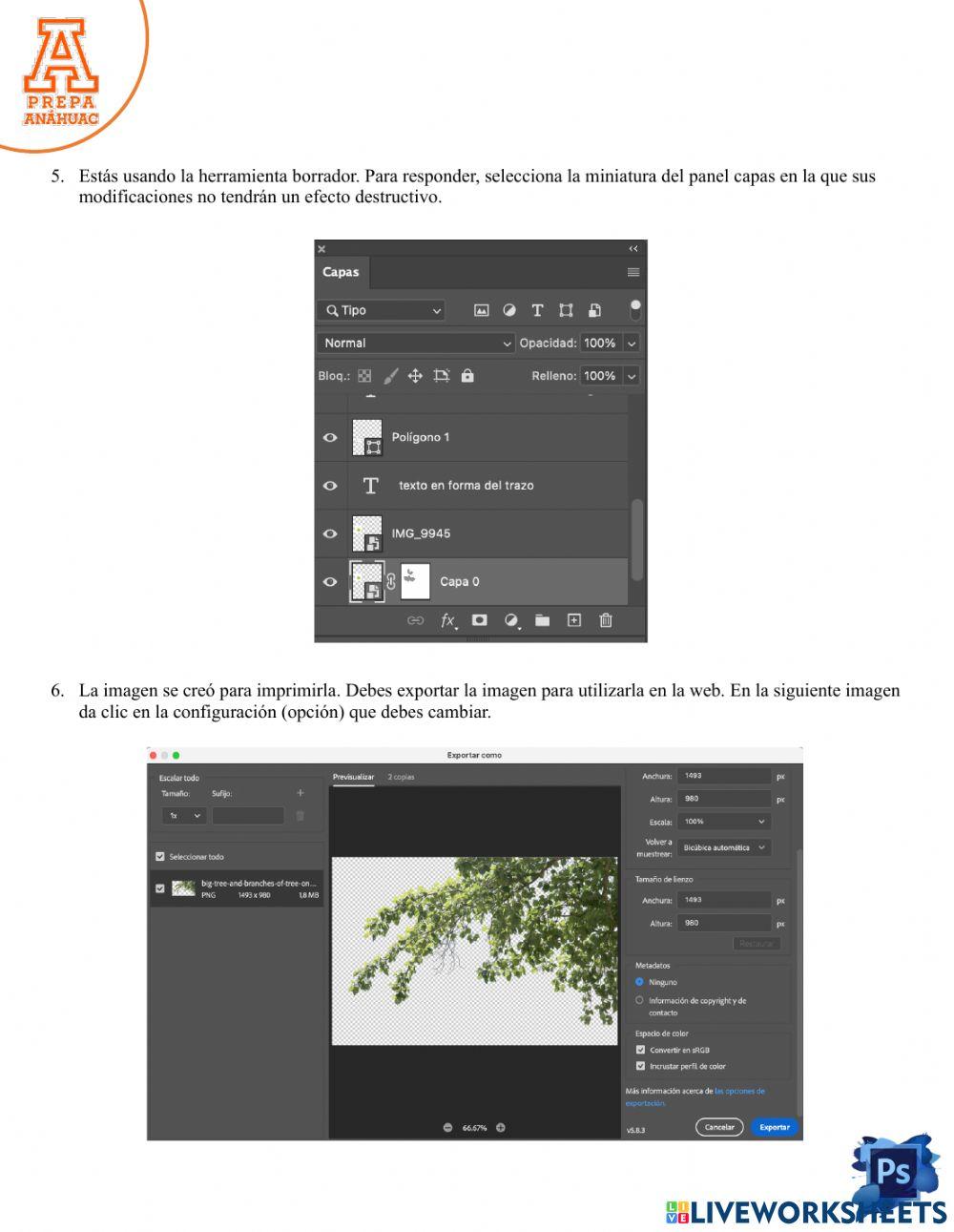 Quiz Photoshop | Free Interactive Worksheets | 2311236