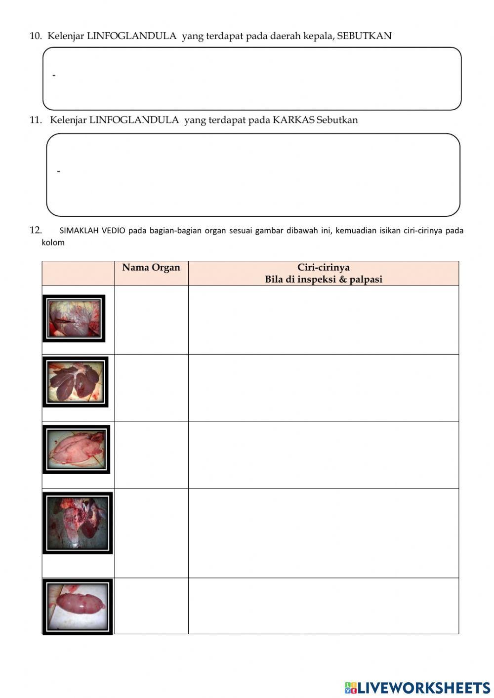 Pemeriksaan post-mortem pada sapi worksheet | Live Worksheets