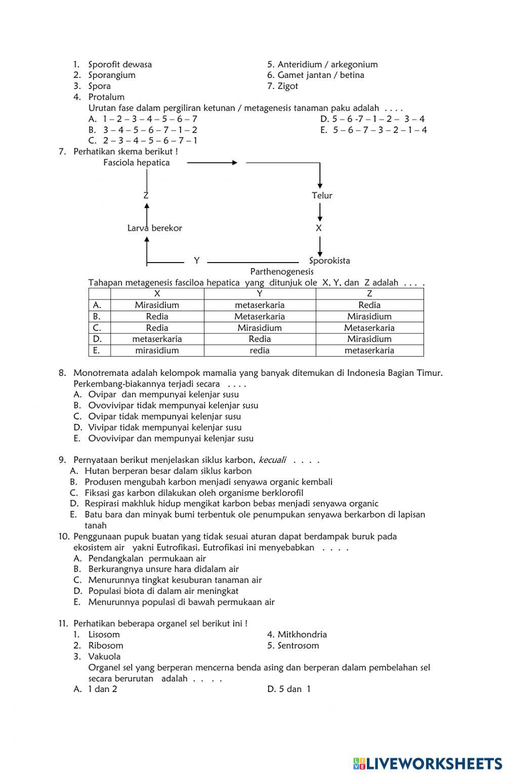 2335493 | Biologi | Wisesaku | LiveWorksheets
