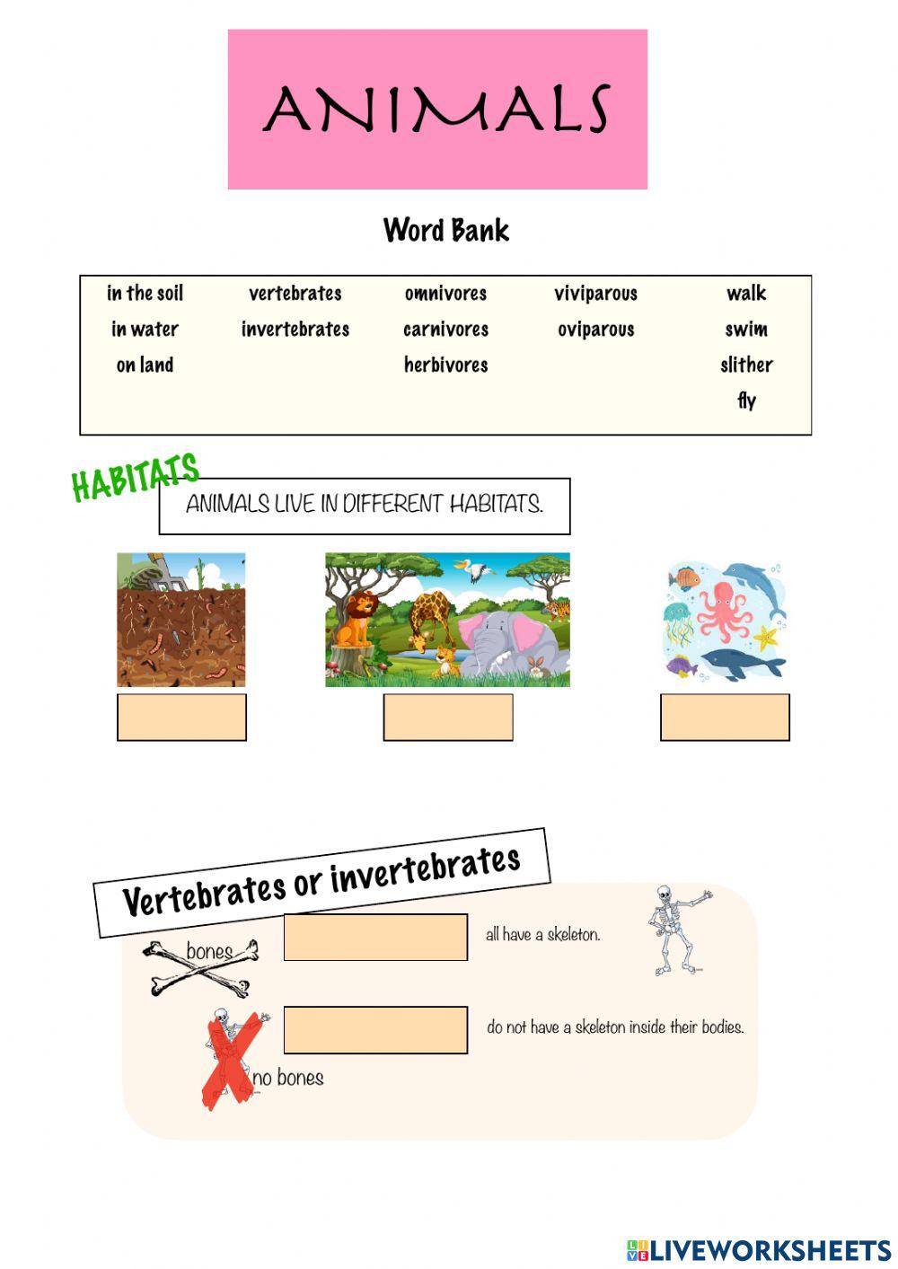 Classifying ani… | Free Interactive Worksheets | 7011130