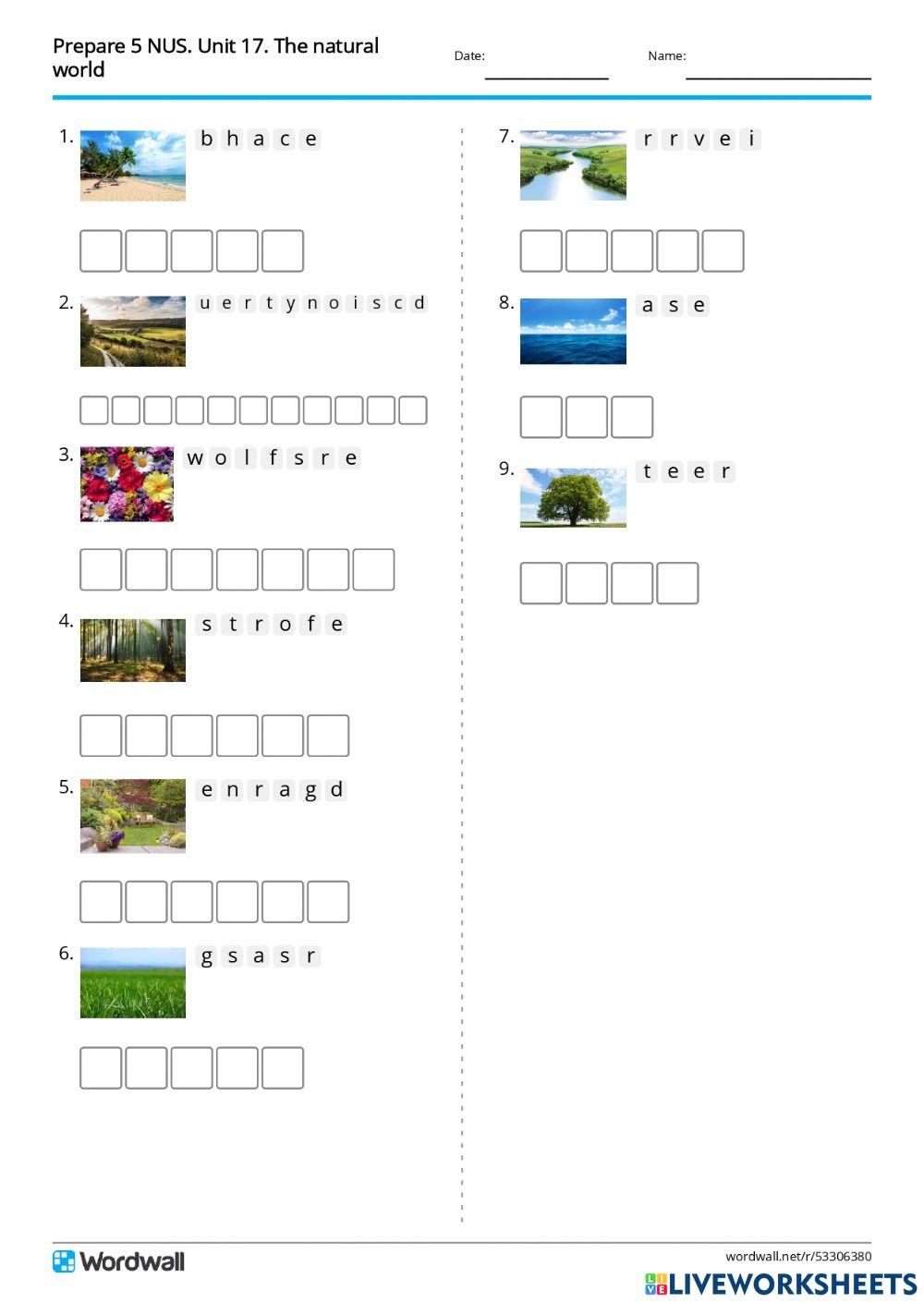 Prepare 5 Unit 17 | LiveWorksheets | 6964204