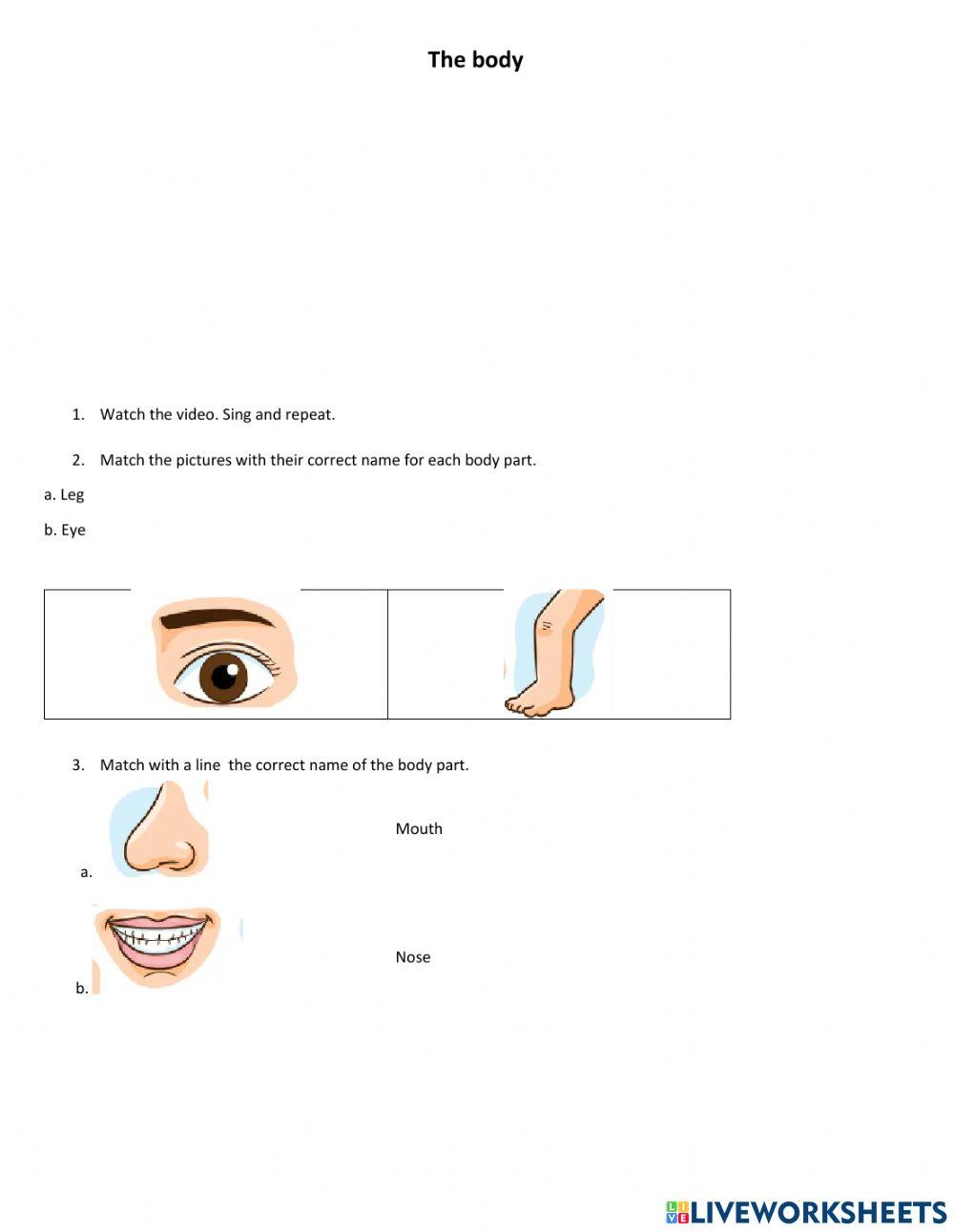 Body parts online exercise for 8th | Live Worksheets