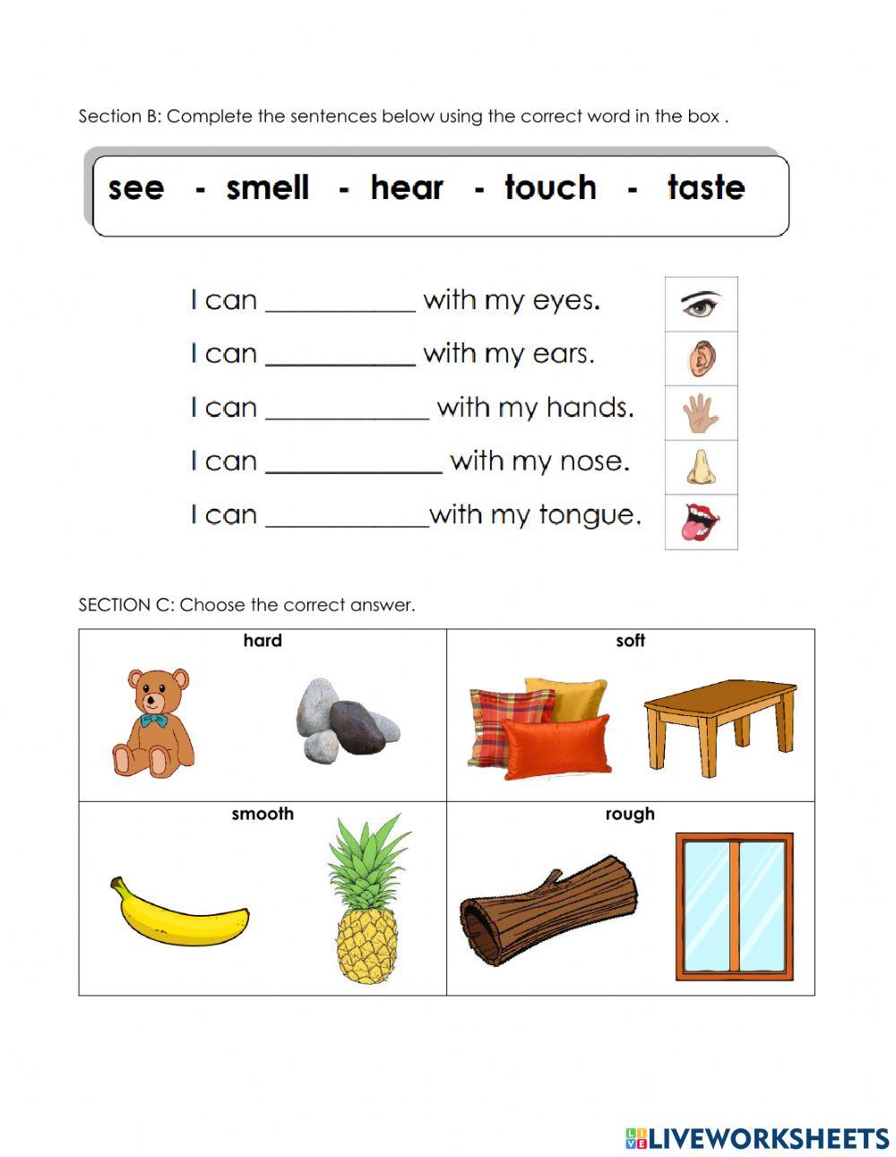 Science Year 1: Term 1 Holiday Homework online exercise for | Live ...