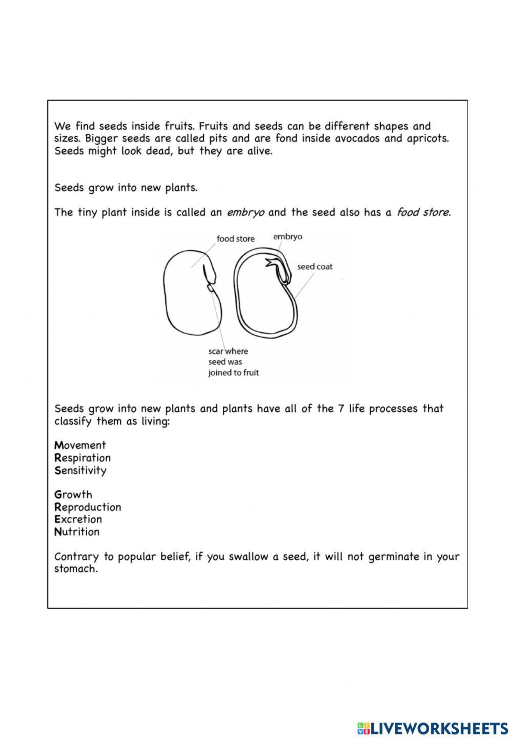 germination online exercise for | Live Worksheets