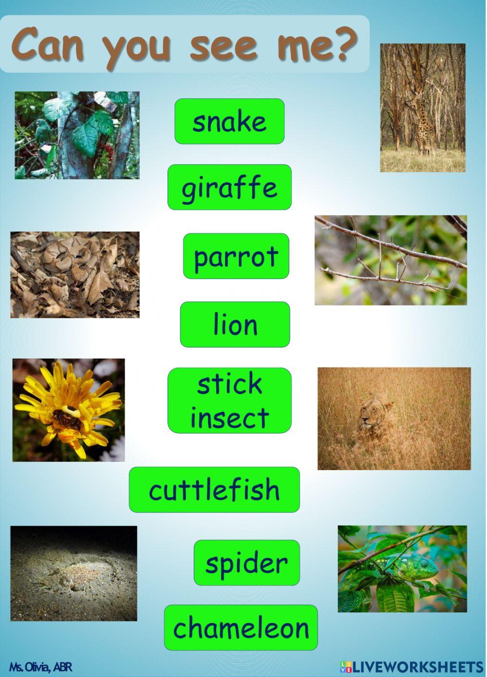 GRADE 6 ACCESS UNIT 8 LESSON 2 SEN 6977991 | Olivia