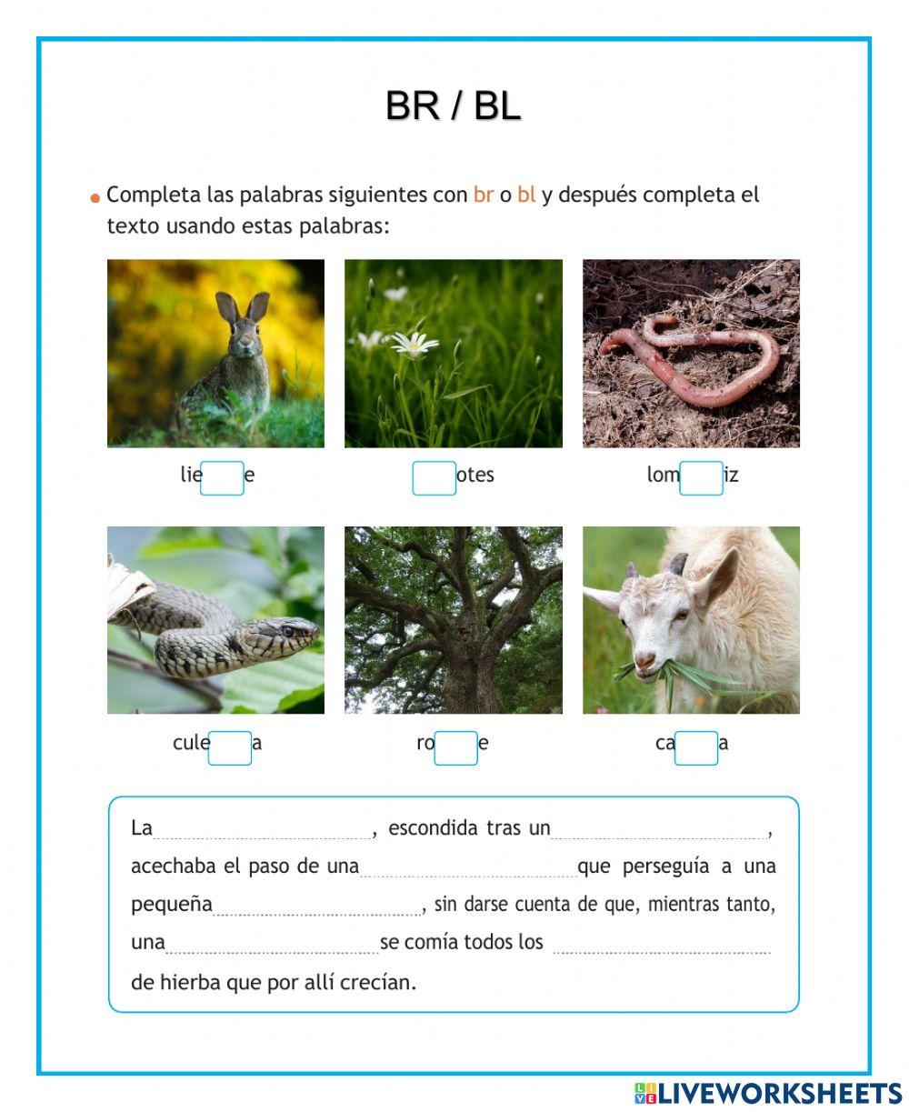 BR o BL activity | Live Worksheets