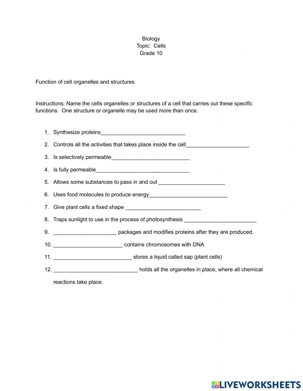 CELLS online exercise for | Live Worksheets