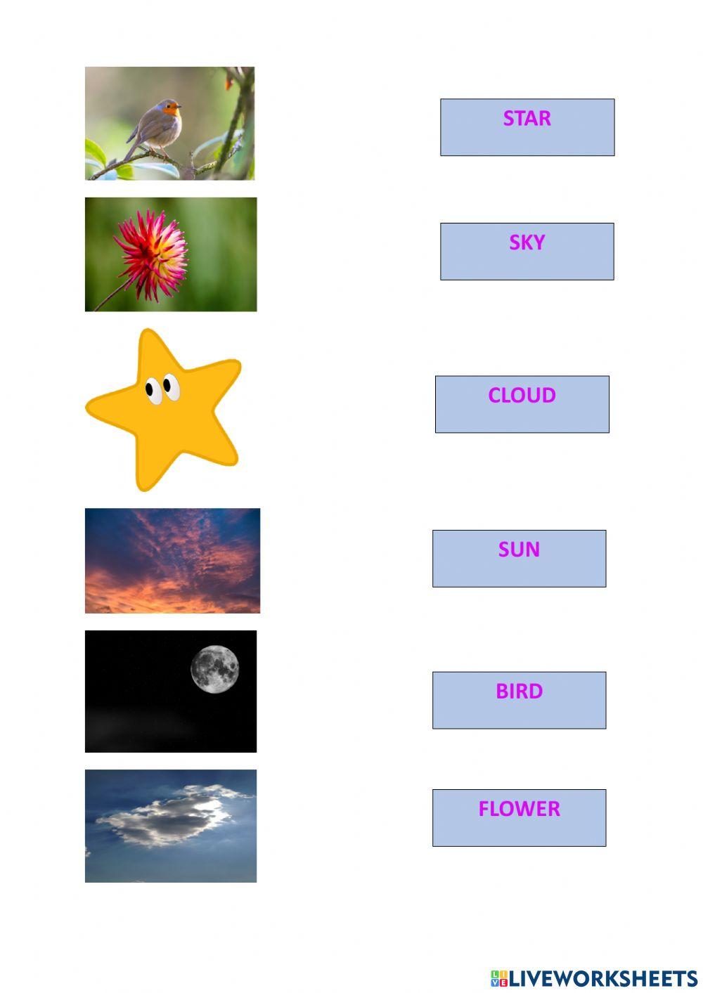 Nature online exercise for | Live Worksheets