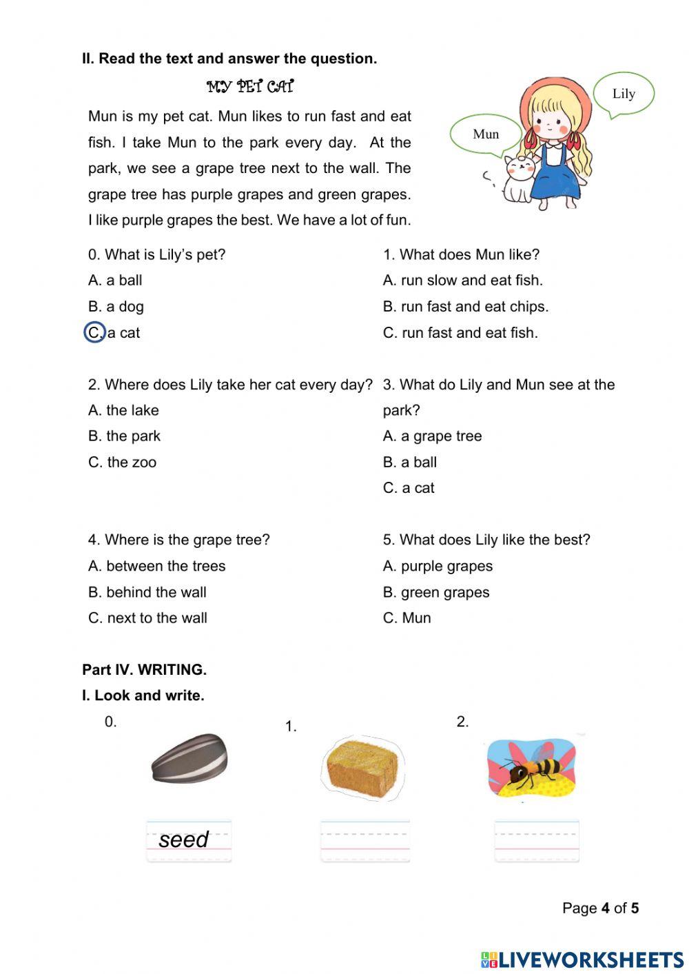 Revision 1 - 2nd Semester Test - Phonics online exercise for | Live ...