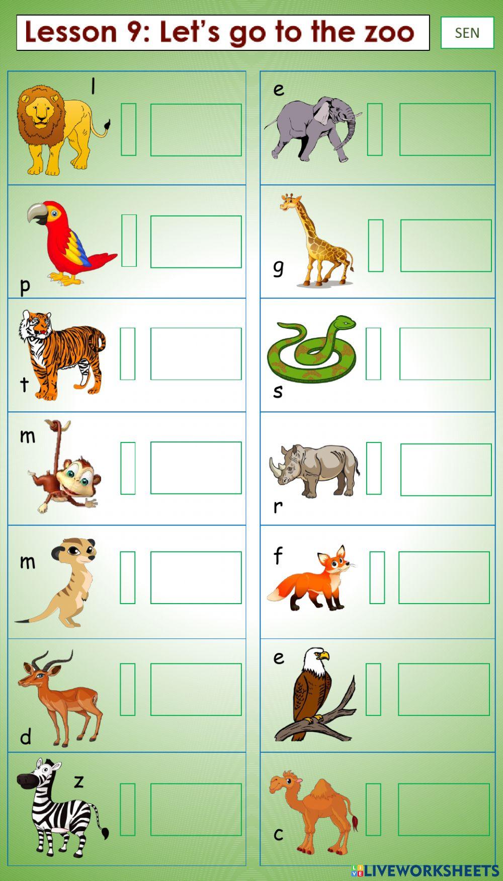 Grade 6 access unit 8 lesson 9 sen worksheet | Live Worksheets