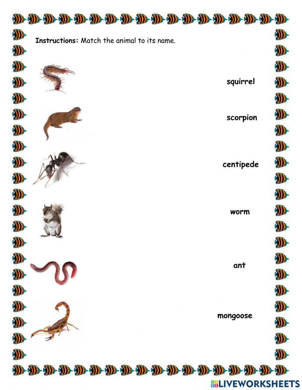 Animals around … | Free Interactive Worksheets | 7012908