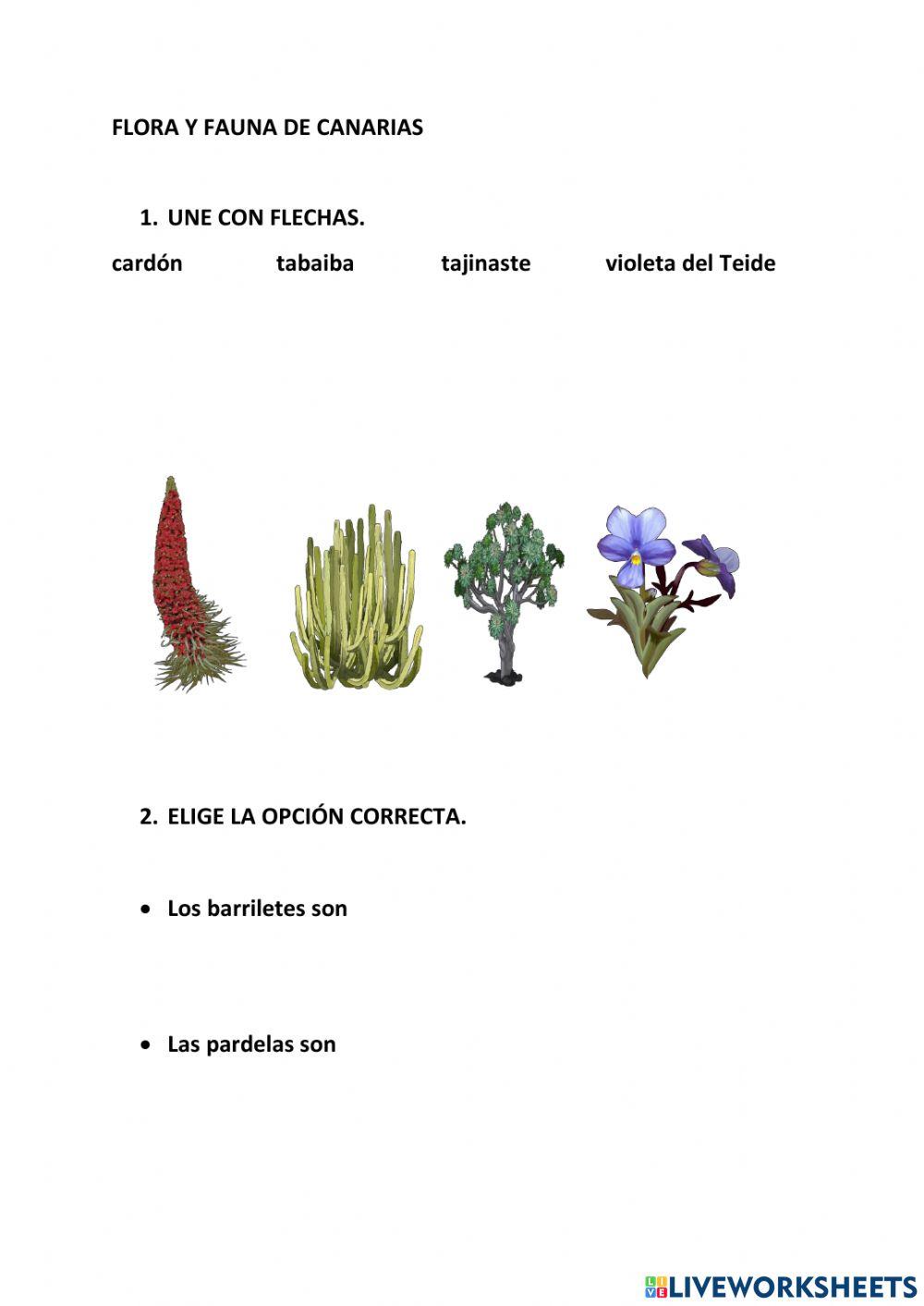 Flora y fauna de Canarias activity | Live Worksheets