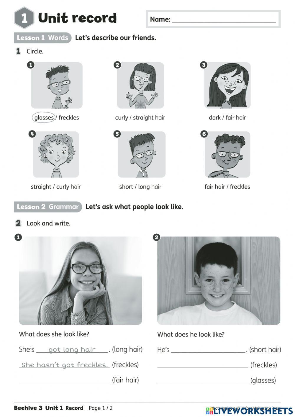 Beehive 3 - Uni… | Free Interactive Worksheets | 6967015