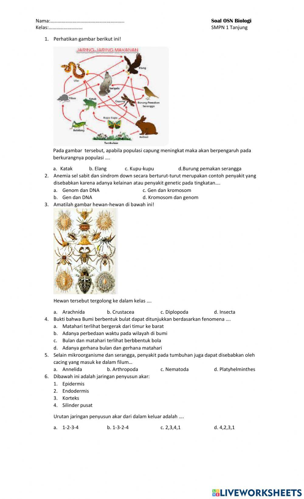 Biologi online pdf worksheet | Live Worksheets