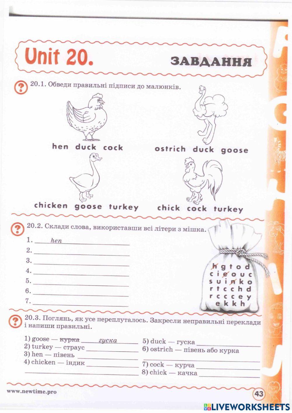 Poultry | Free Interactive Worksheets | 2337411