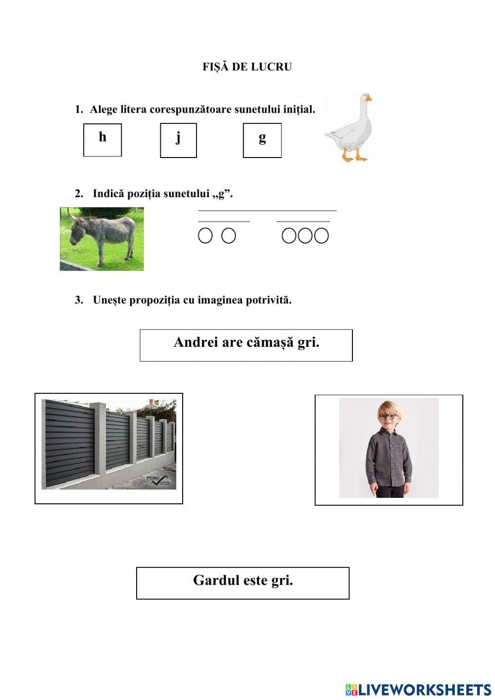 Sunetul g și li… | Free Interactive Worksheets | 2337565