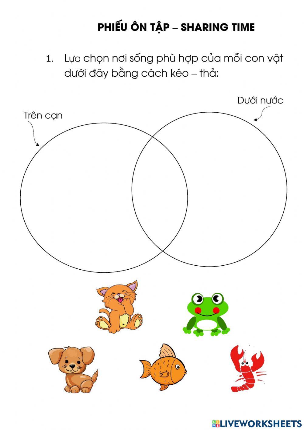 Sharing time - Ôn tập online exercise for | Live Worksheets