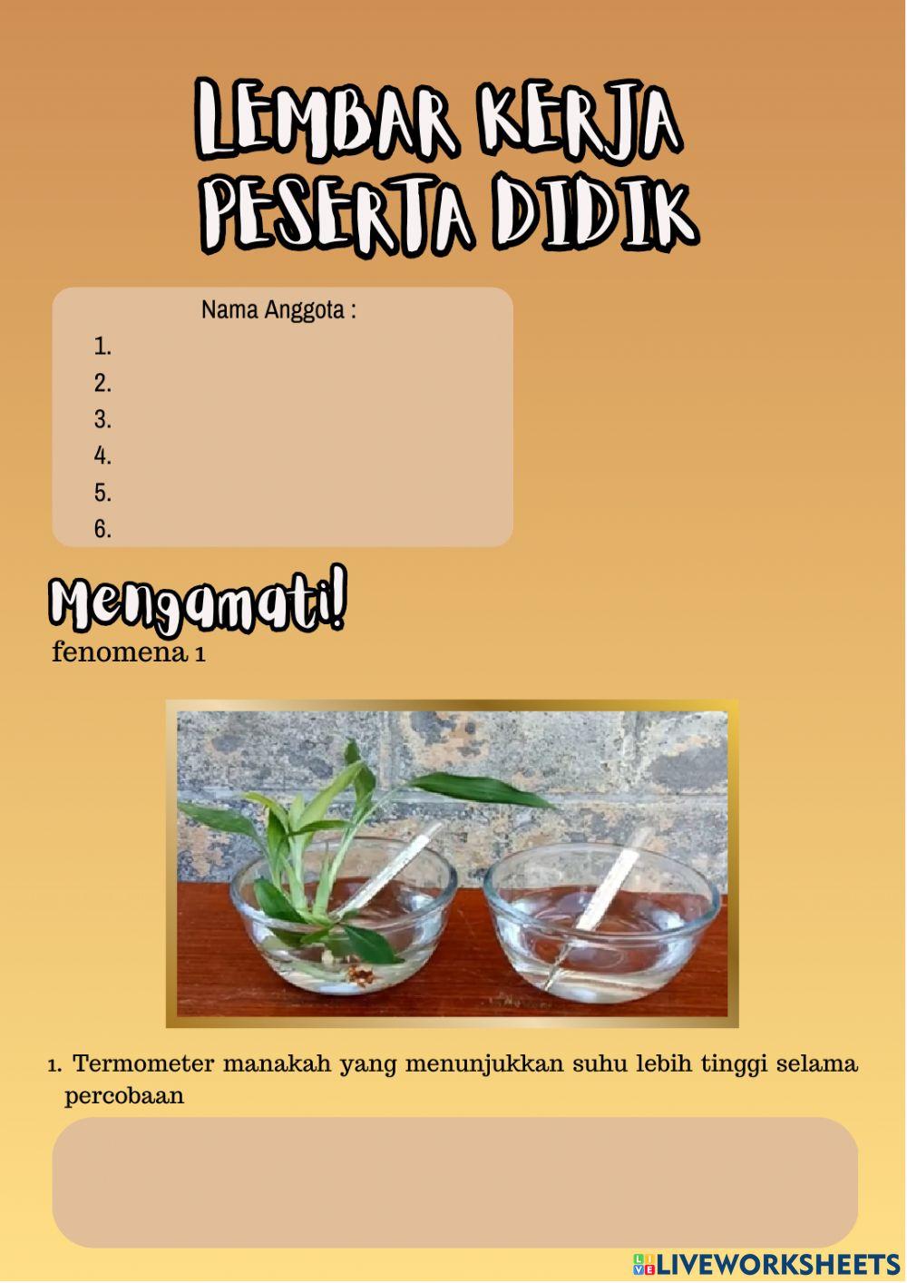 Global Warming online worksheet for X | Live Worksheets