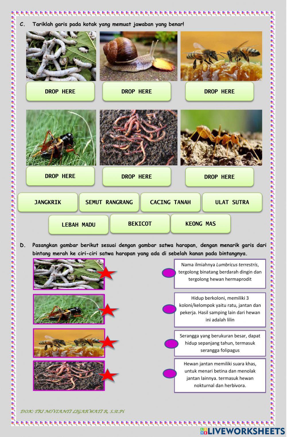 6965096 | LKPD Budidaya Satwa Harapan