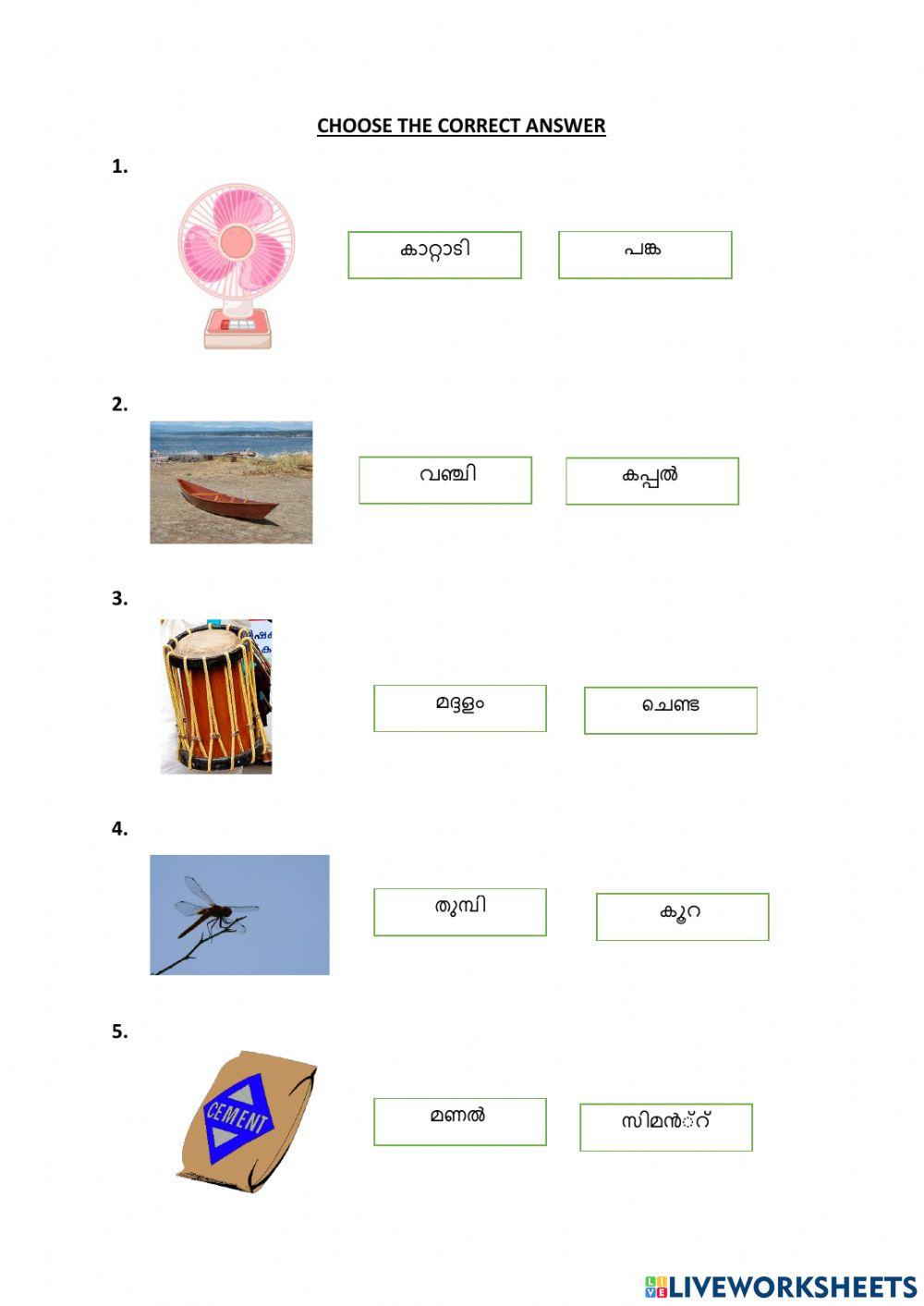 Choose the correct answer interactive activity for 3 | Live Worksheets