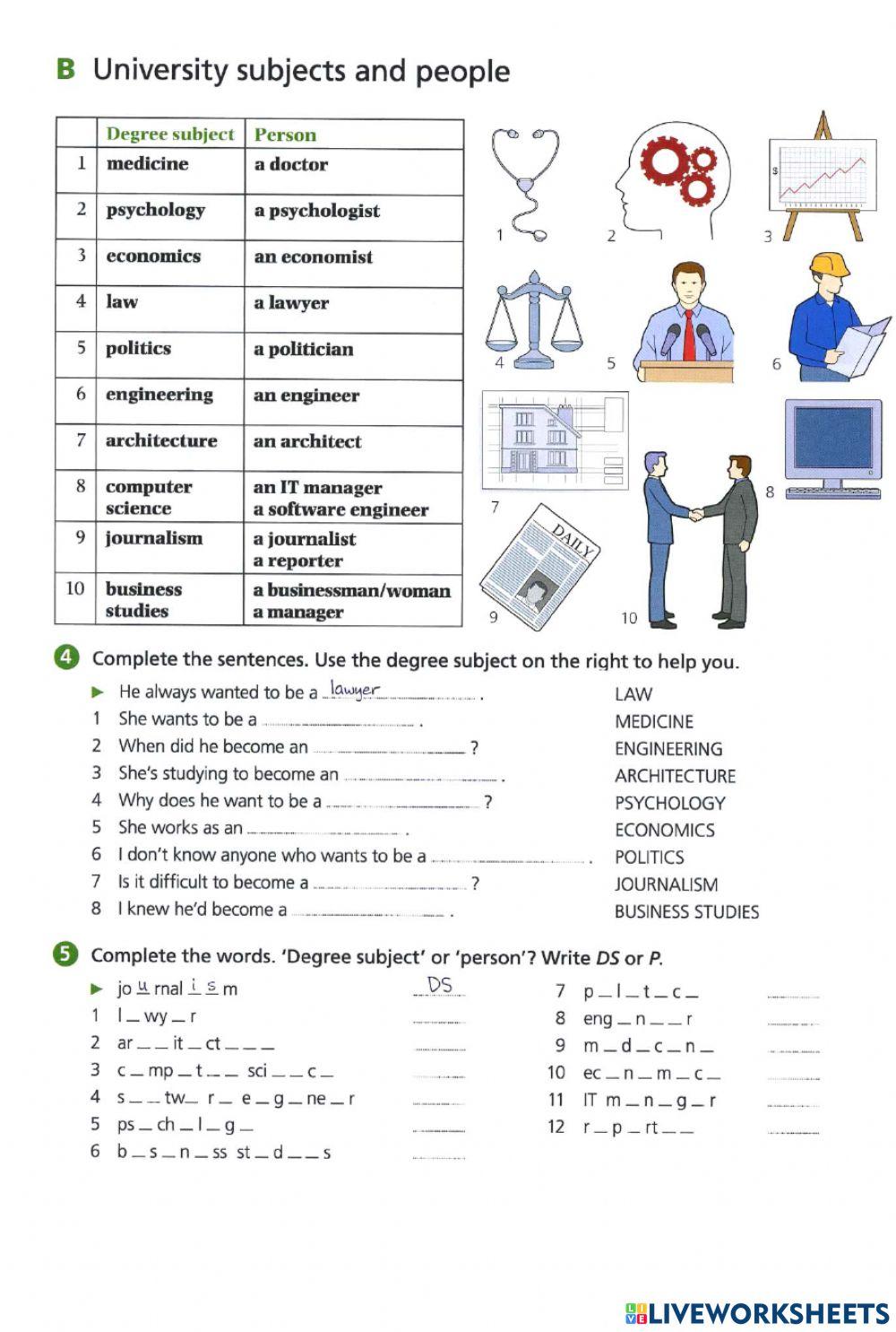 Basic Vocabulary - 43 University | LiveWorksheets