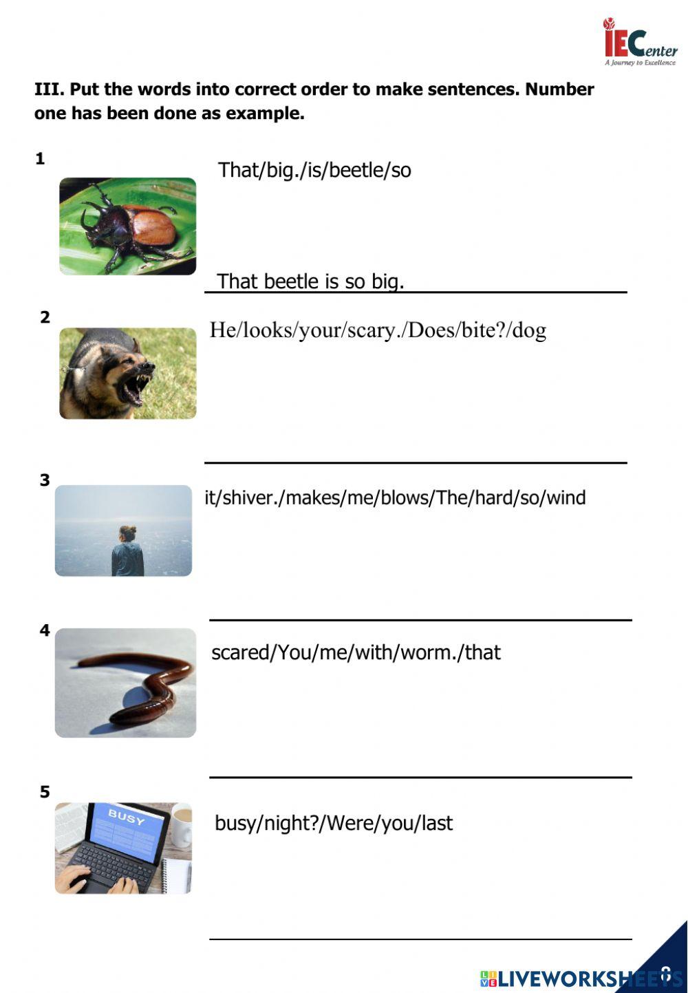 CAM 2 - UNIT 6 - LESSON 5 online exercise for | Live Worksheets