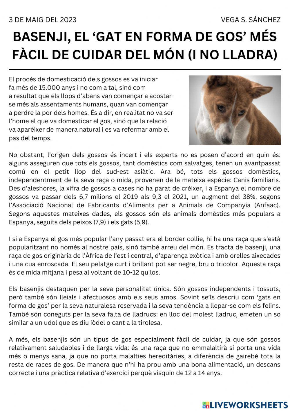 Comprensió lect… | Free Interactive Worksheets | 7253558
