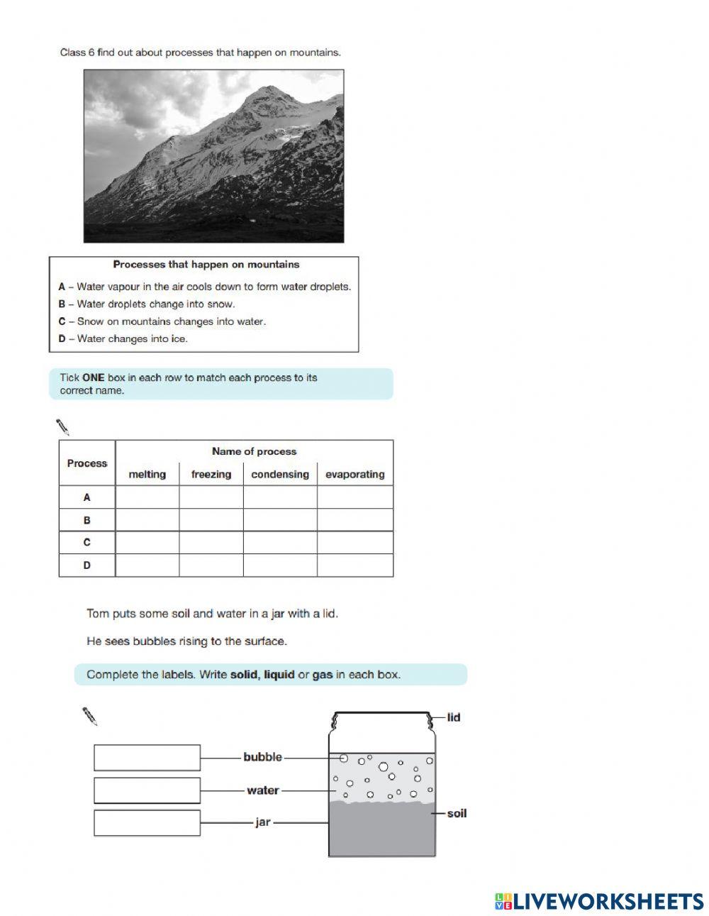 Science Practice 10 | Myoung5B | Live Worksheets