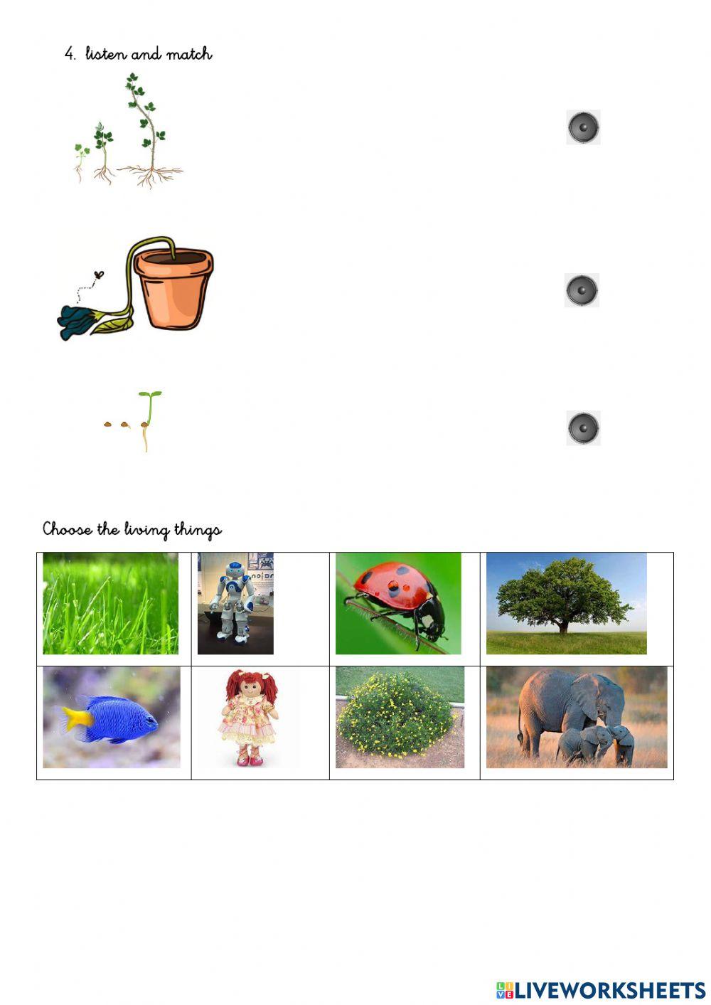 Living things | Free Interactive Worksheets | 7014758