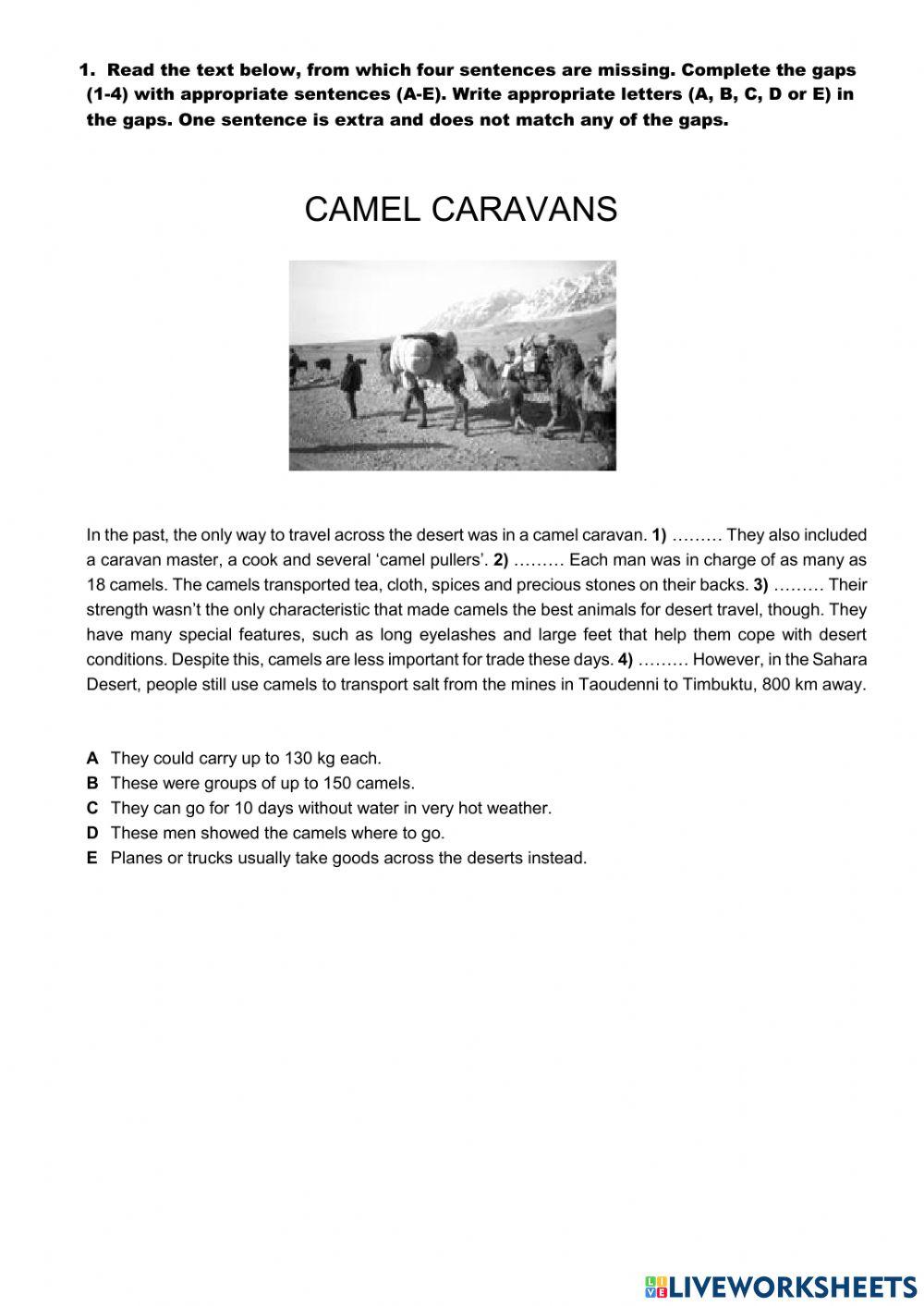 On screen 1 Rea… | Free Interactive Worksheets | 7005636