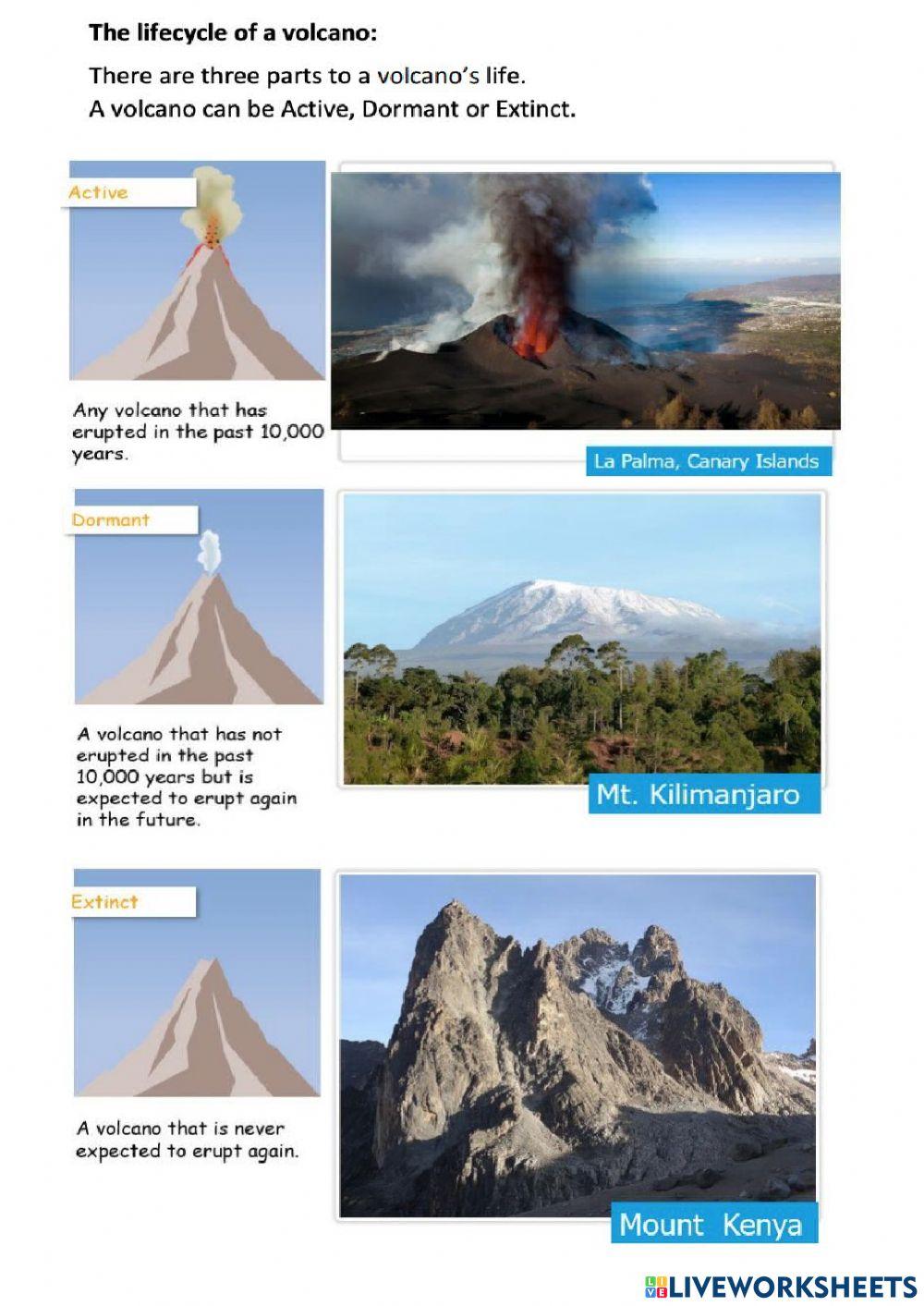 Phases of volcanoes worksheet | Live Worksheets