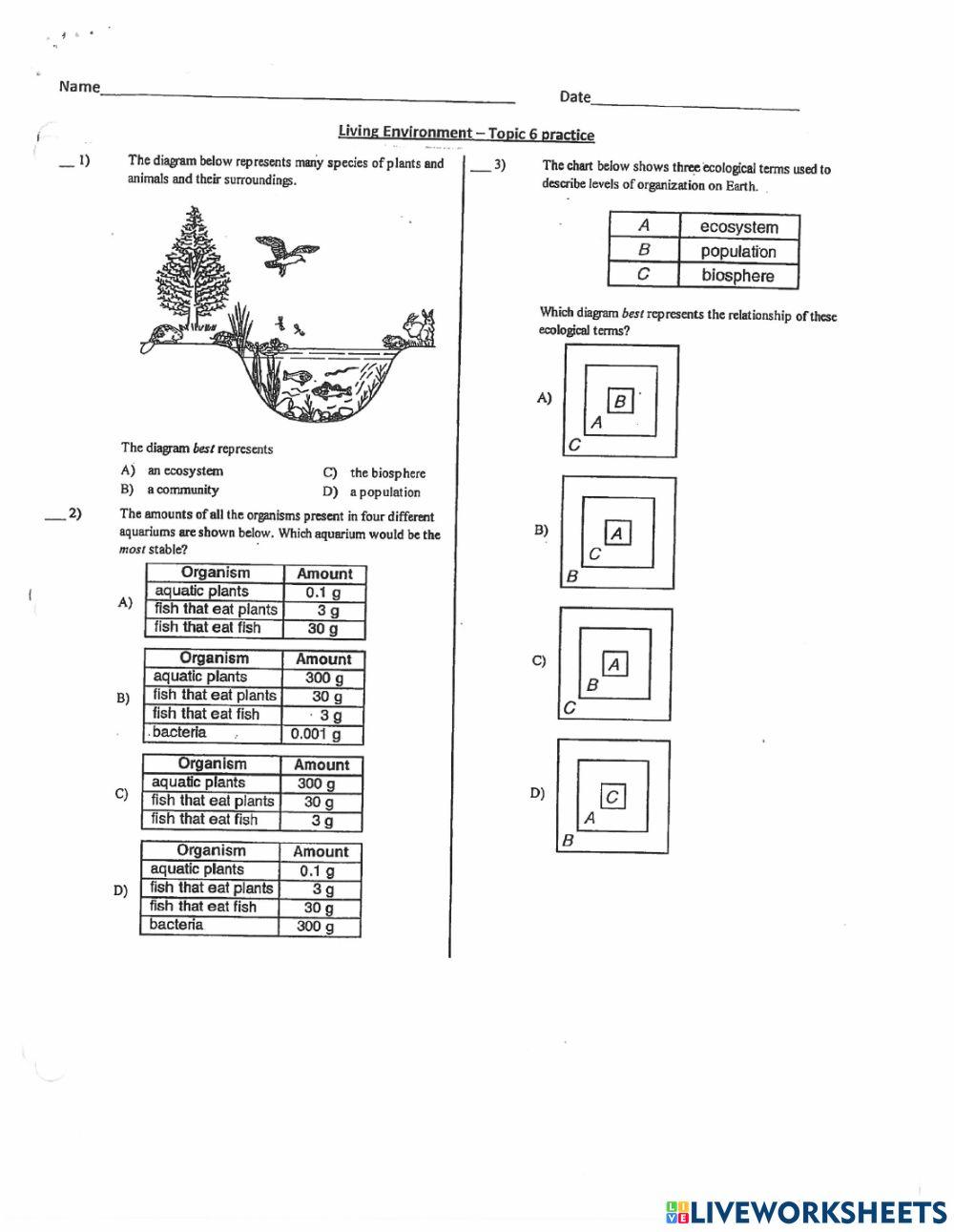Topic 6 practice 7194432 | Eve5 | Live Worksheets