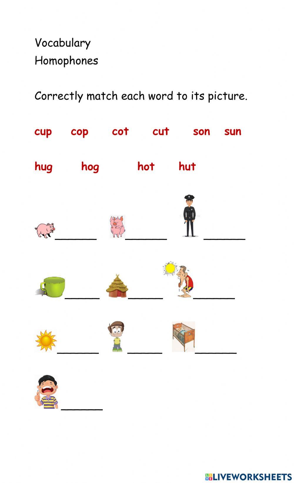 homophones online exercise for | Live Worksheets