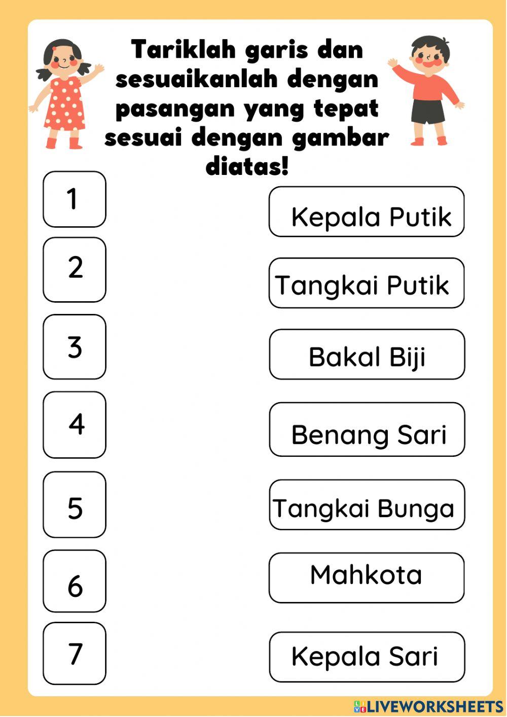 Bagian - bagian bunga interactive worksheet | Live Worksheets