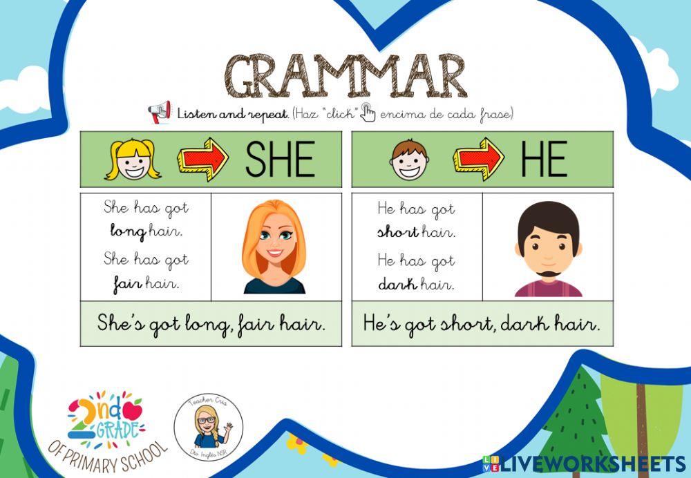 She's got-He's got... worksheet | Live Worksheets