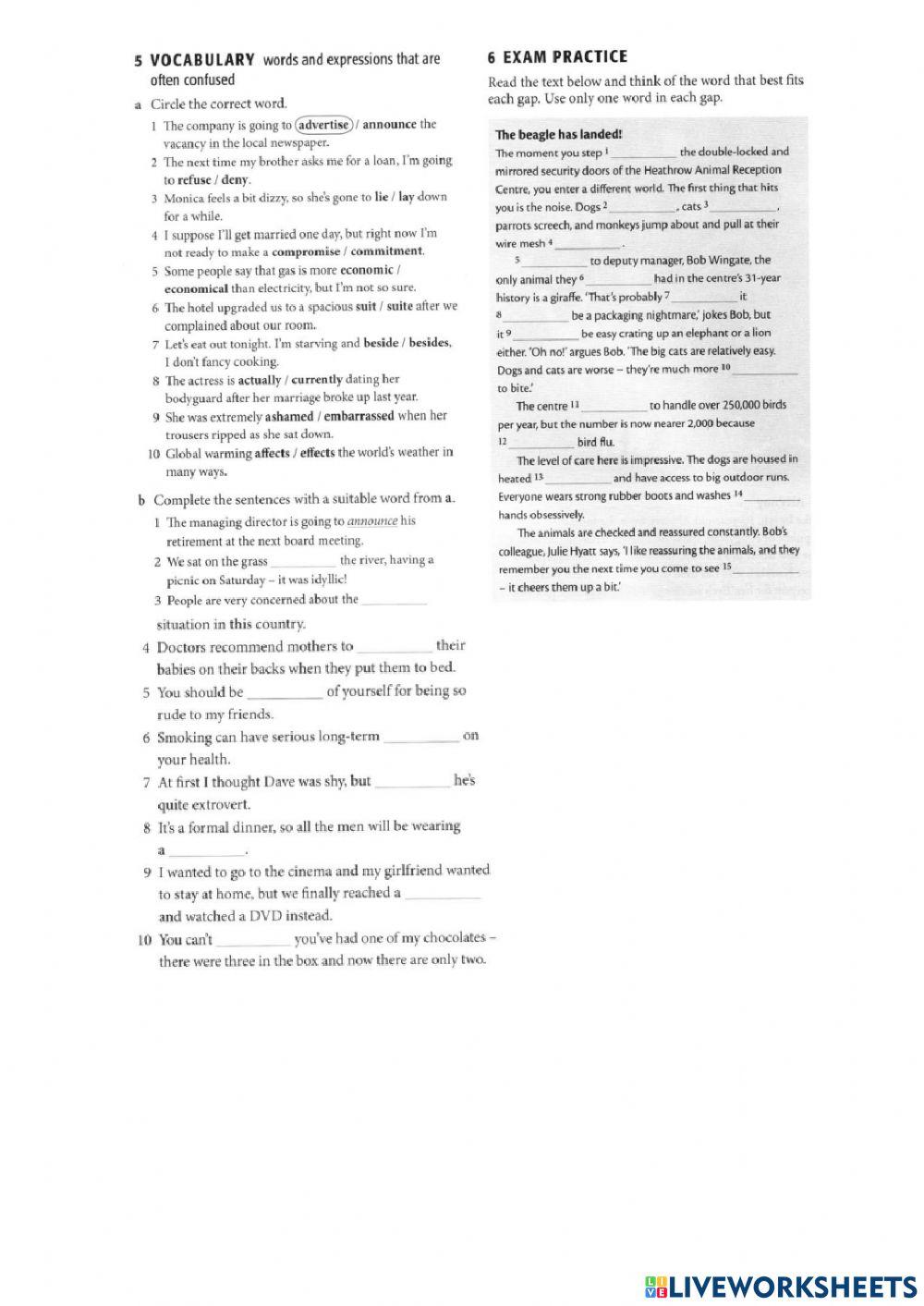 6C Workbook worksheet | Live Worksheets